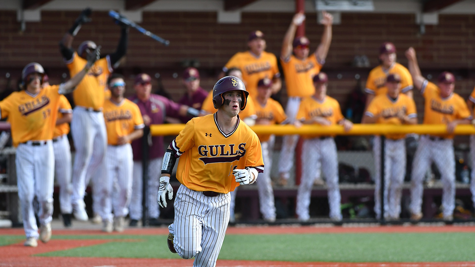 Cameron Hyder - 2023 - Baseball - Salisbury University