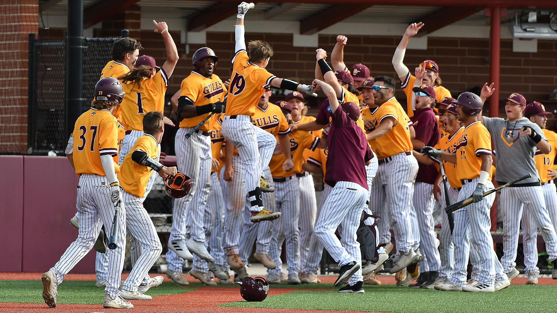 Cameron Hyder - 2023 - Baseball - Salisbury University