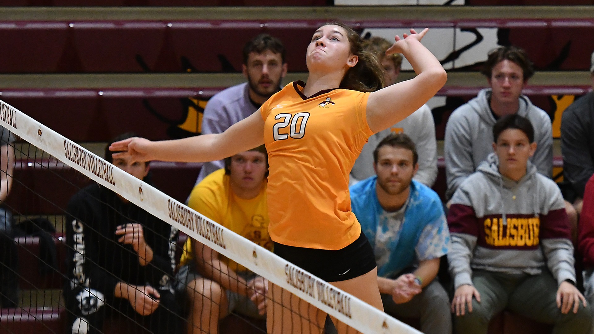 Kiley McTaggart - 2024 - Women's Volleyball - Salisbury University