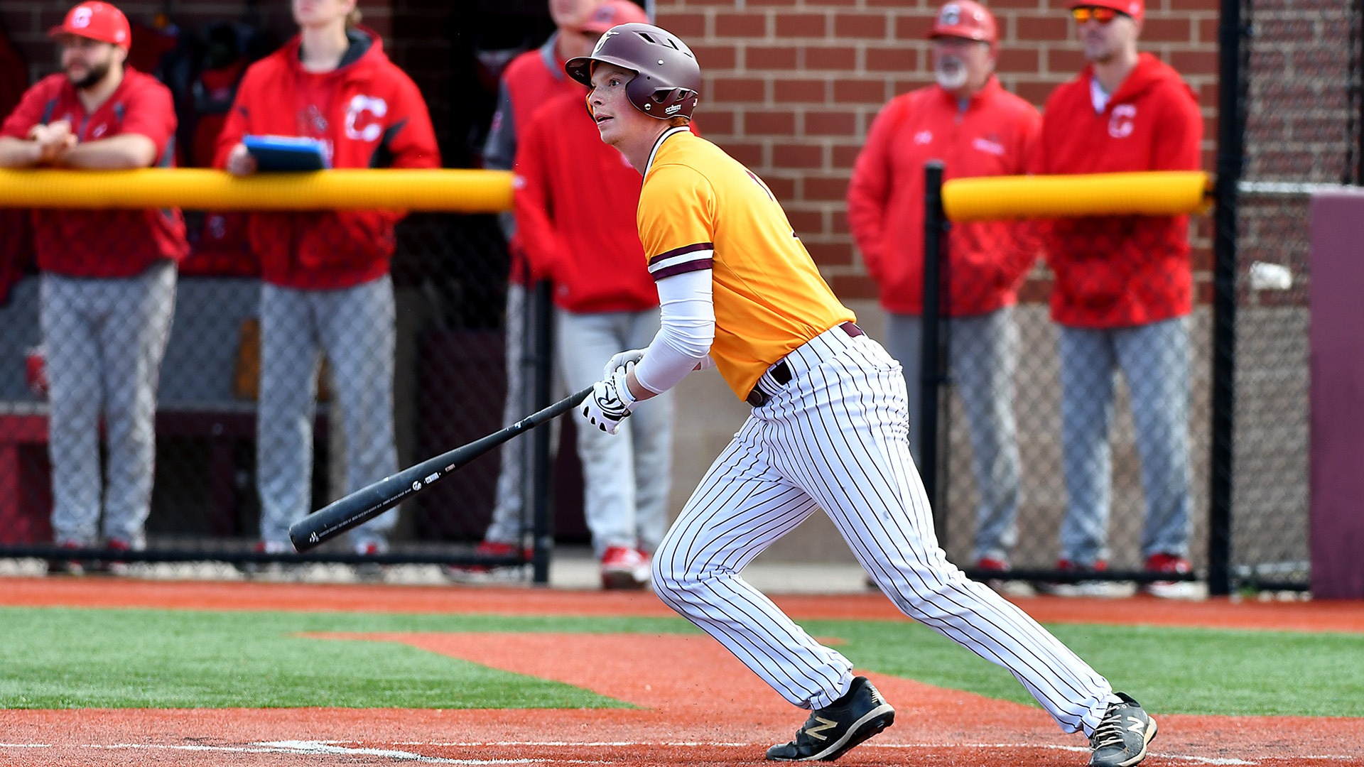 Dan Mcdermott Baseball