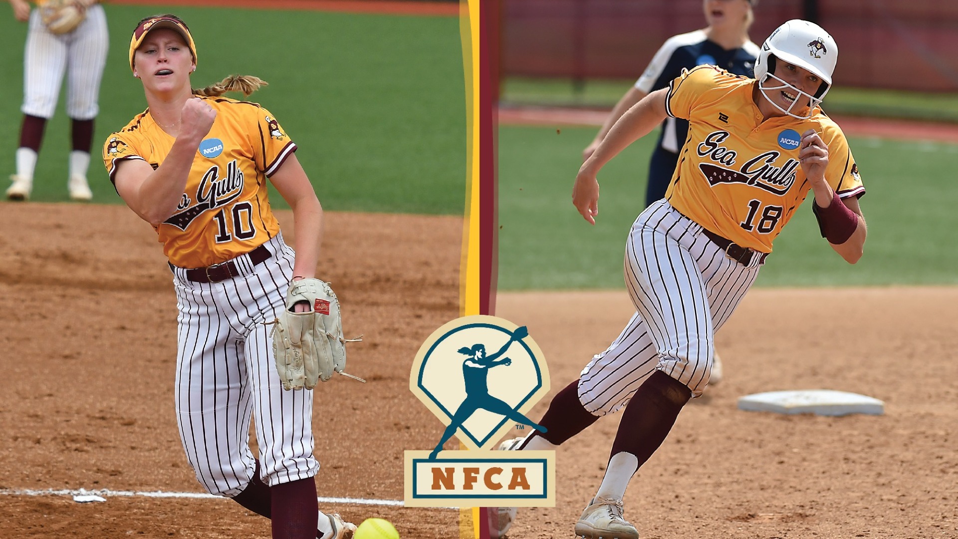 Mace, Windsor honored as NFCA First-Team All-Americans - Salisbury ...