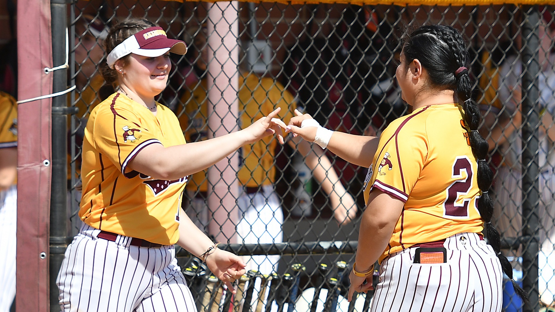 No. 2 Softball grabs wins over TCNJ and Carnegie Mellon - Salisbury ...
