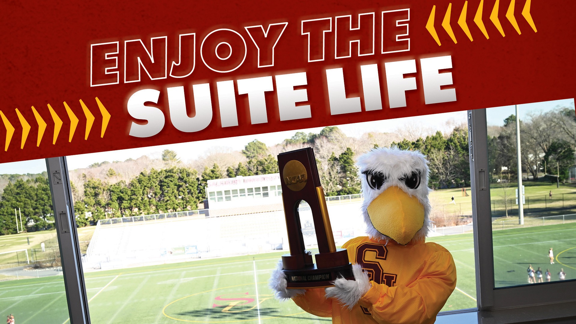 Sea Gull Stadium suites available to rent during Men’s, Women’s ...