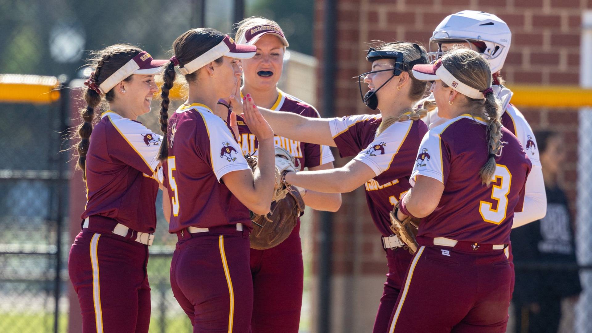 No. 4 Softball set to host NCAA Regionals on May 16-18 - Salisbury ...