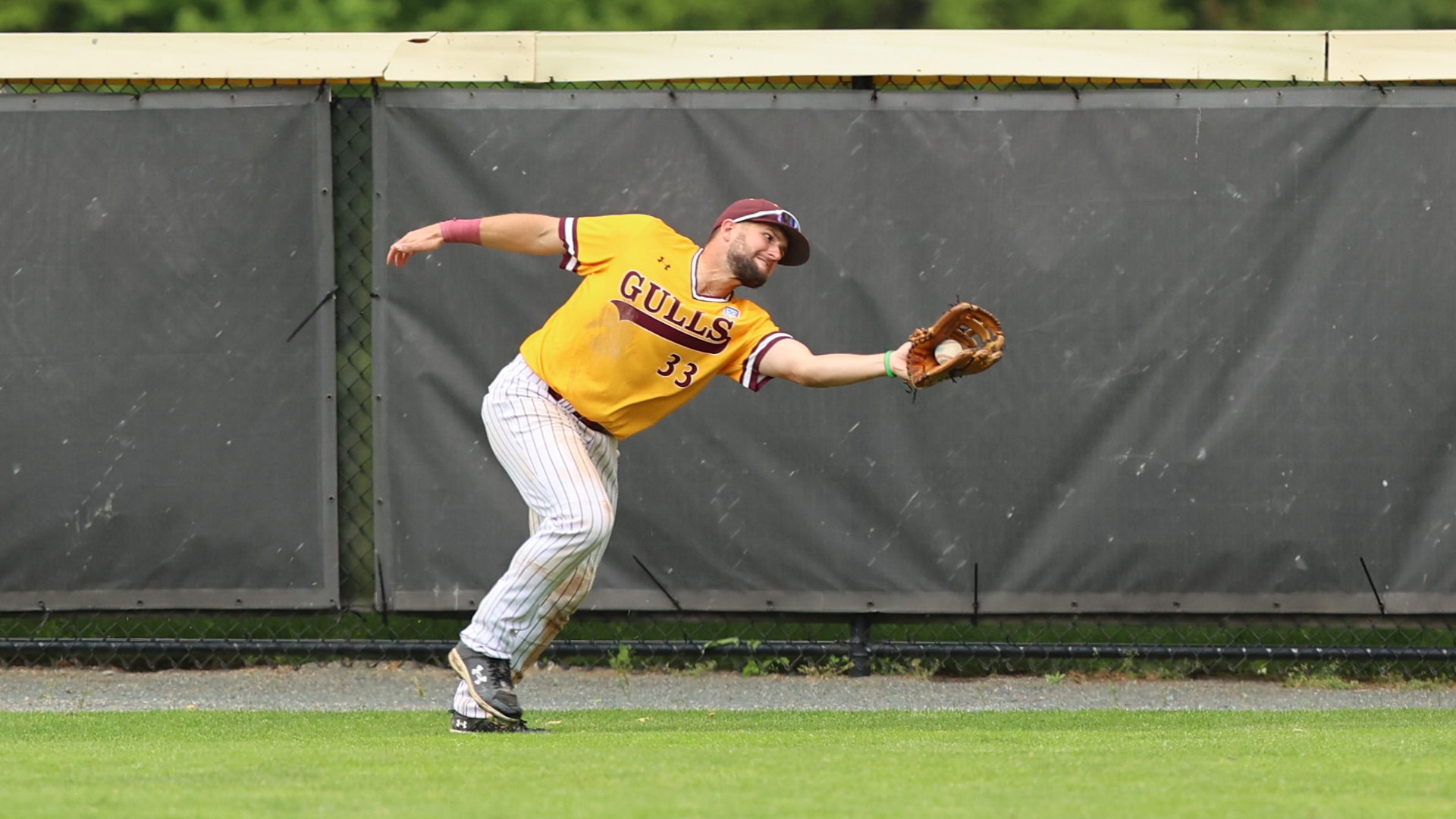 Tim Petrucelli - 2024 - Baseball - Salisbury University