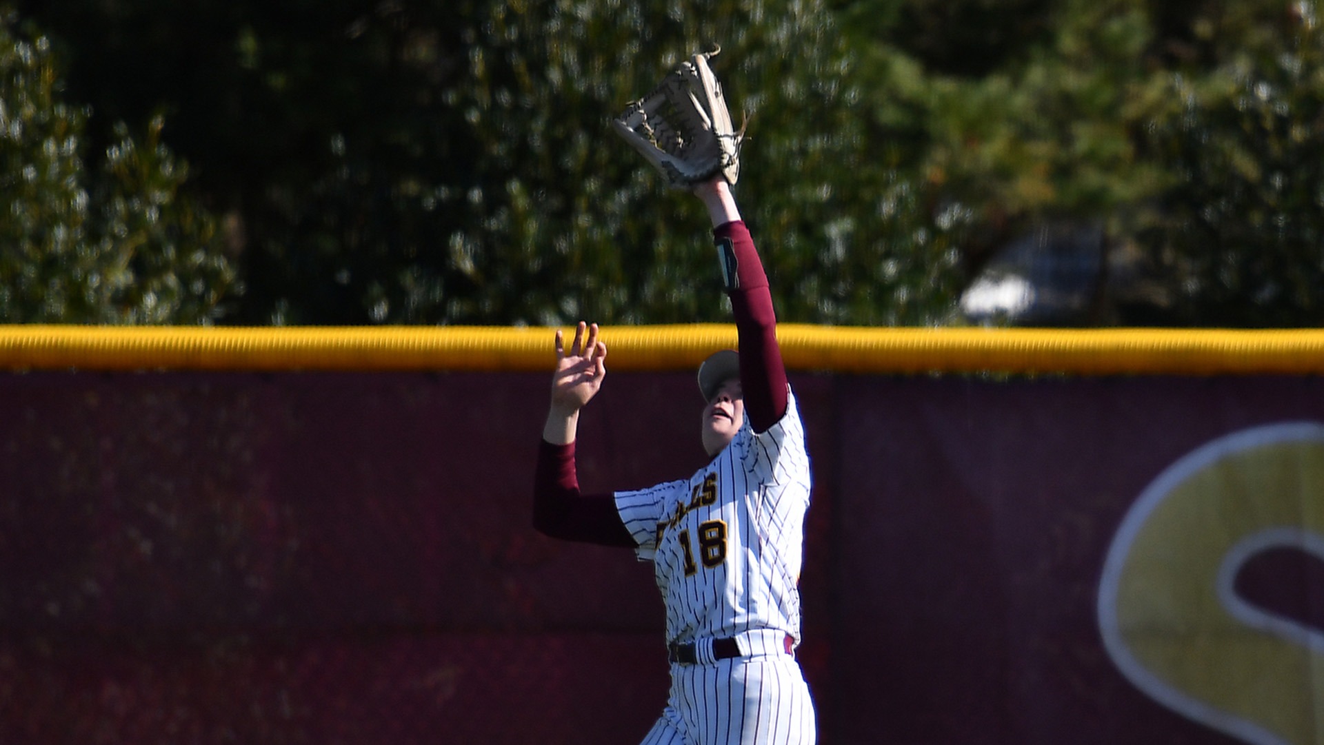Abby Mace - 2024 - Softball - Salisbury University