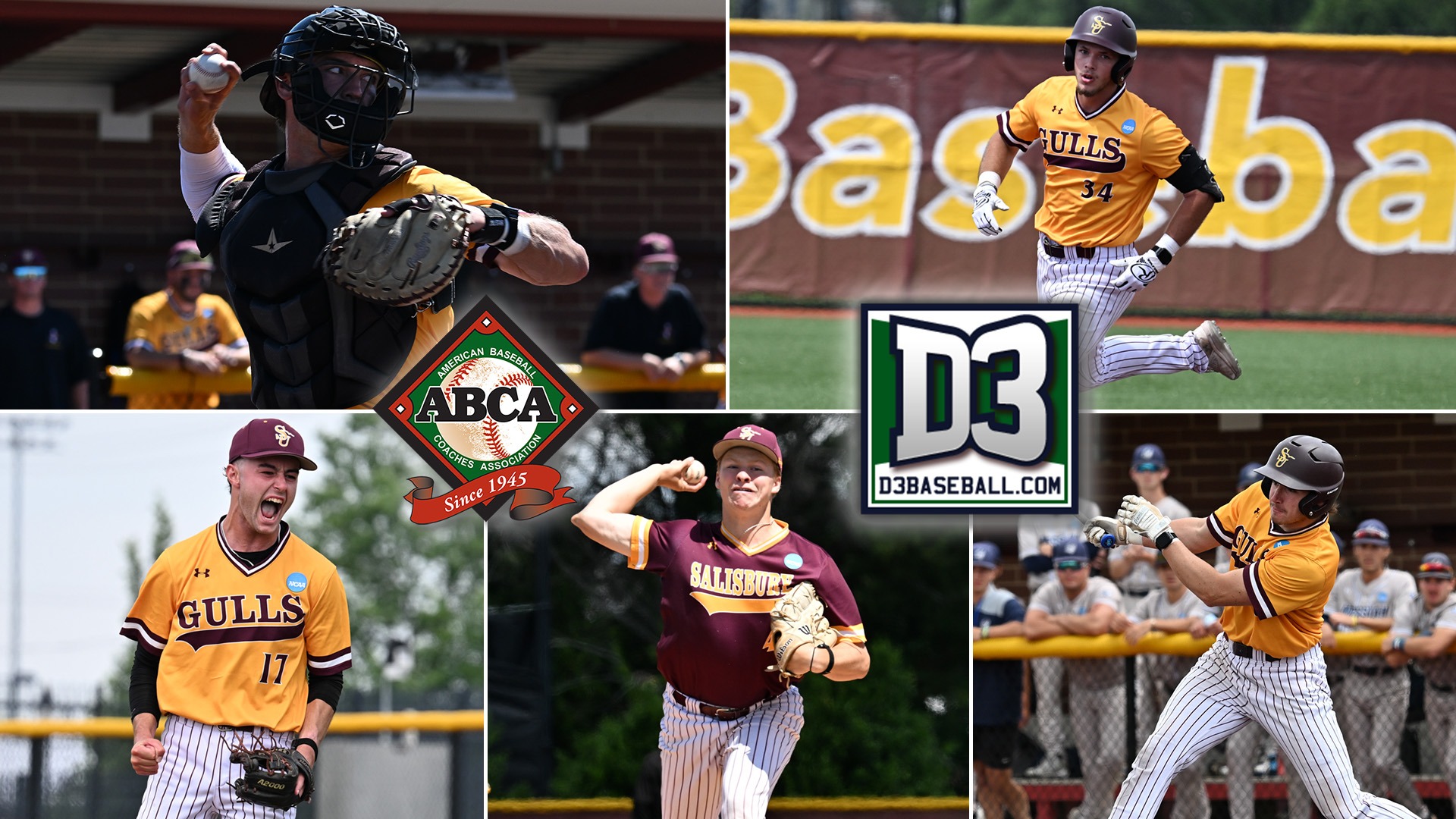 Sheeler selected for ABCA Region 5 All-Defensive Team - Salisbury ...