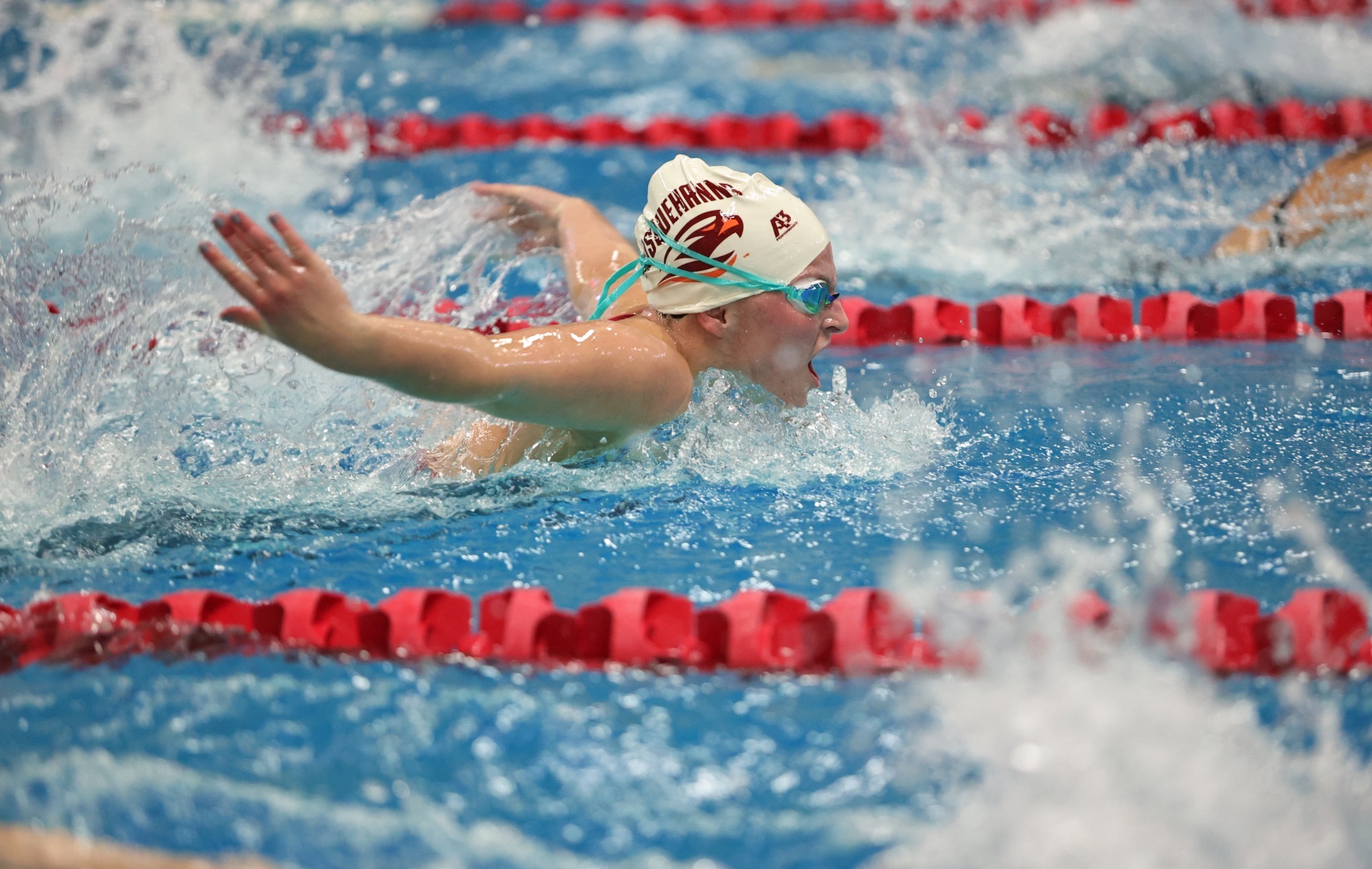 River Hawk Women In 4th After Day 1 of Landmark Swim & Dive ...