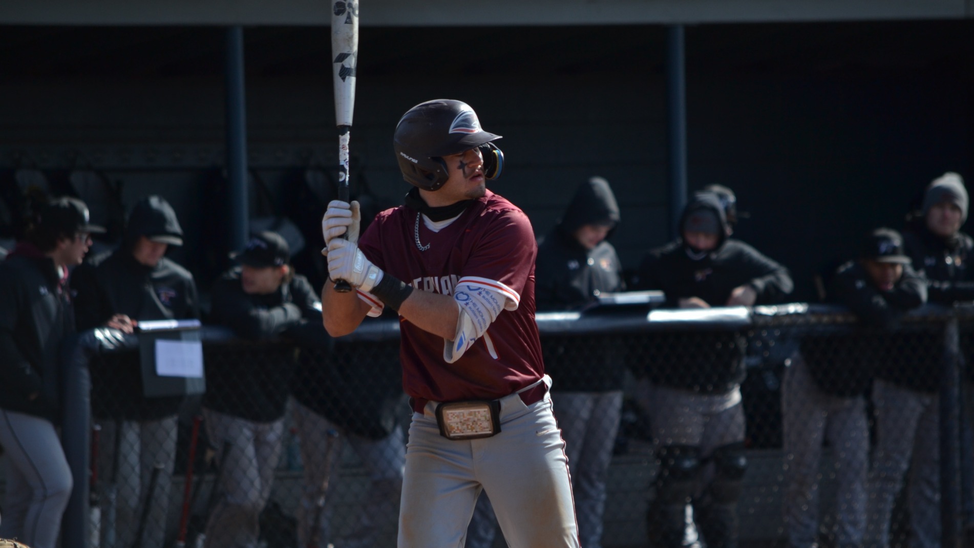 Michael Biuso - Baseball - Susquehanna University Athletics