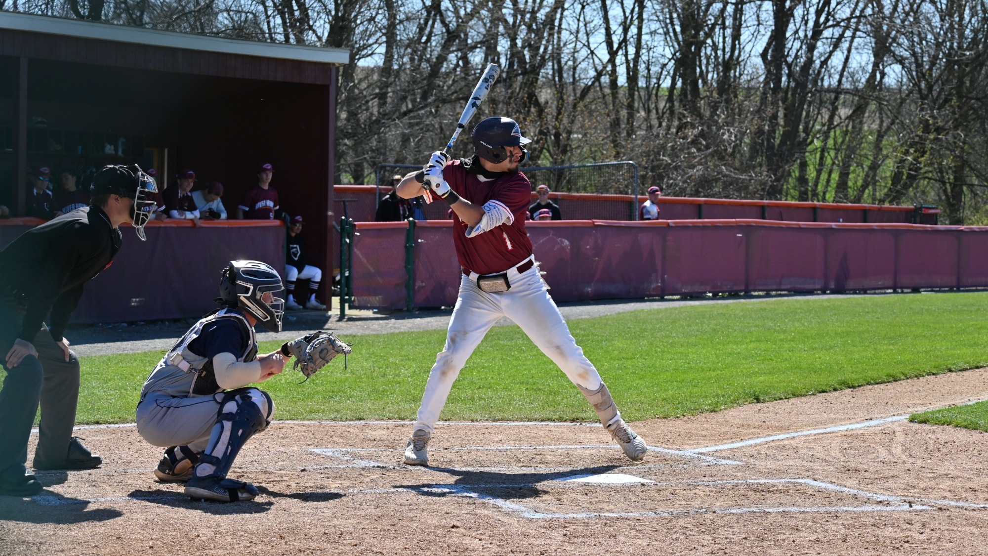 Michael Biuso - Baseball - Susquehanna University Athletics