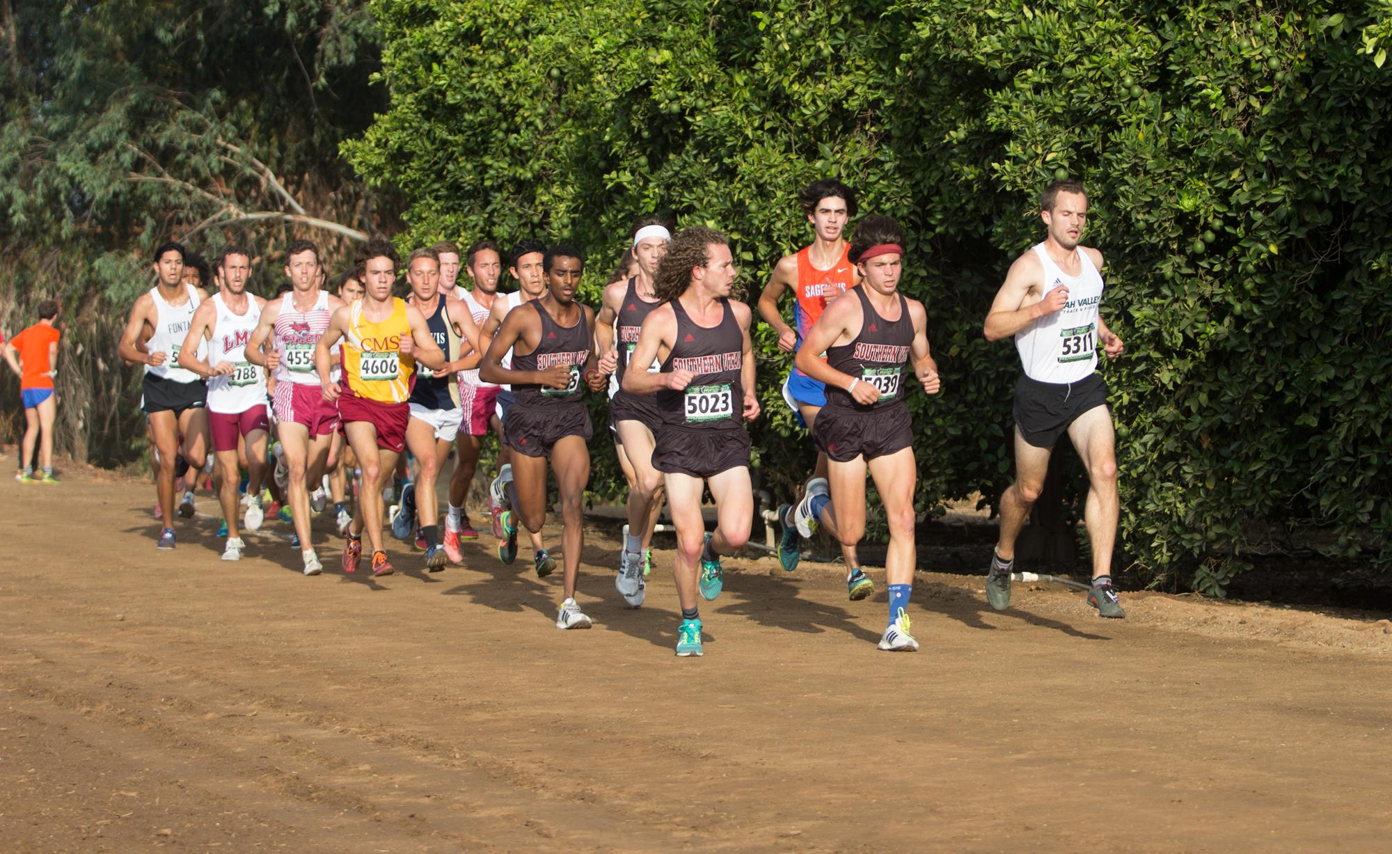 Aidan Reed - Men's Cross Country - Southern Utah University Athletics
