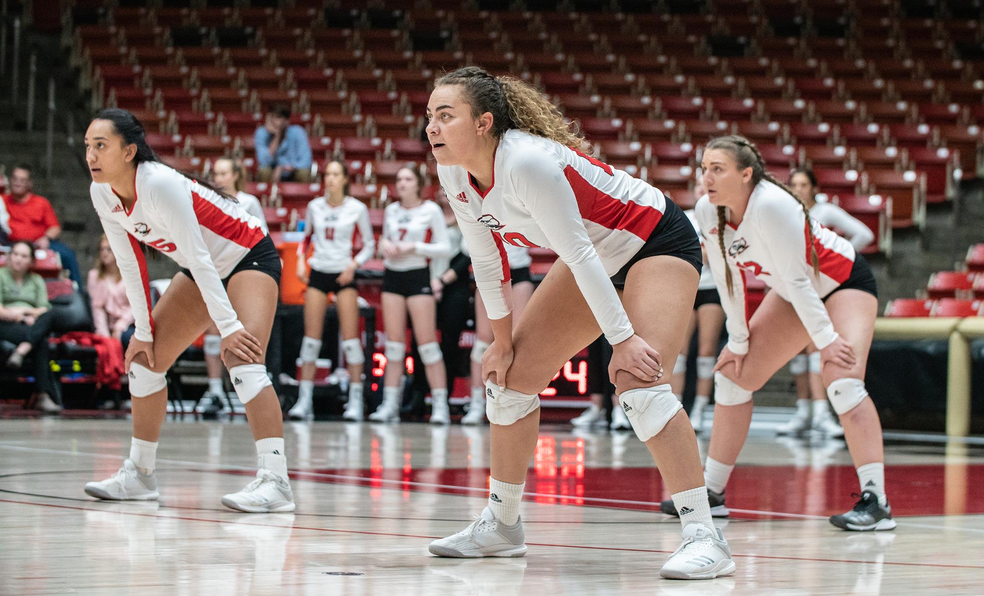 Rylee Rogers - Women's Volleyball - Southern Utah University Athletics