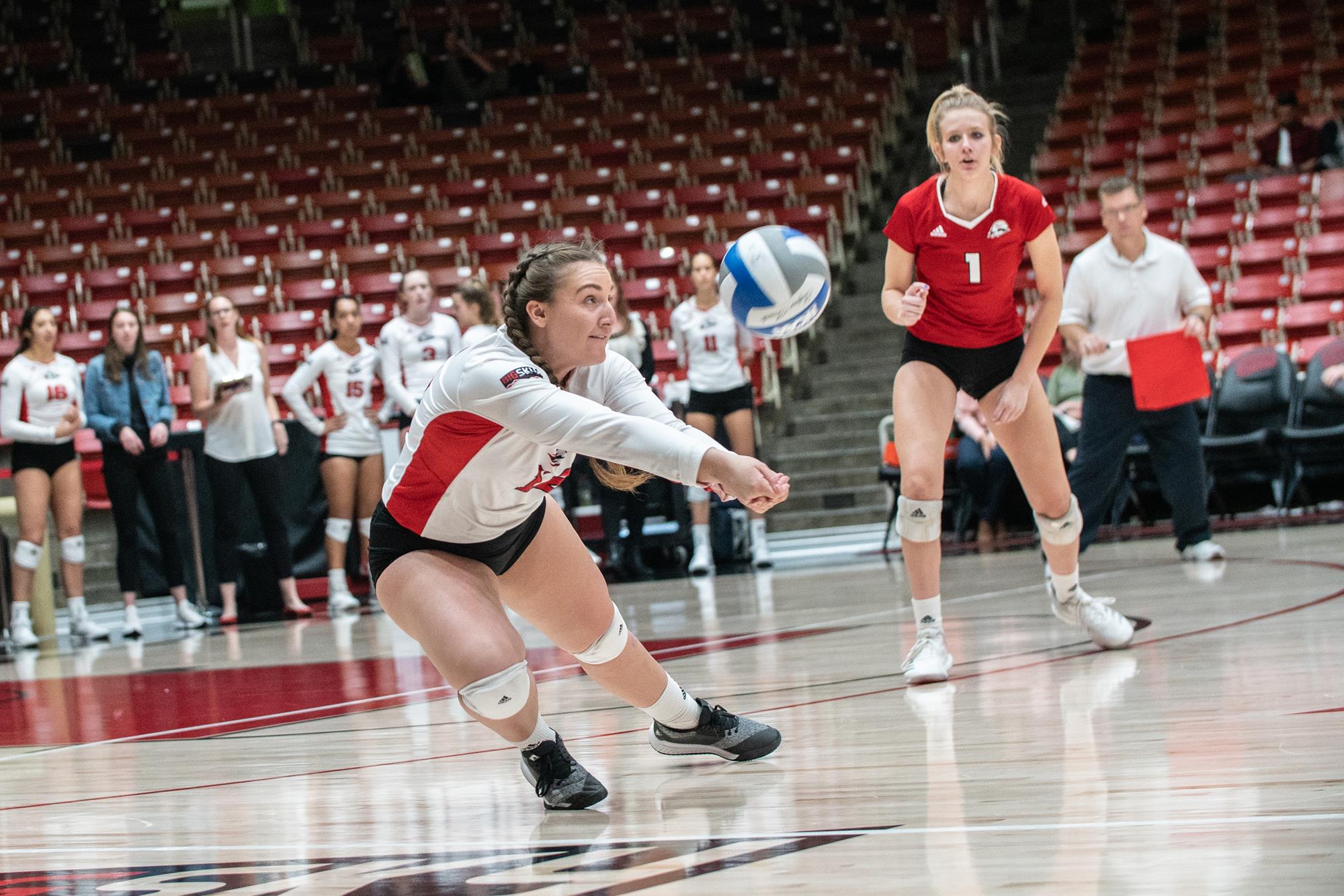 Rylee Rogers - Women's Volleyball - Southern Utah University Athletics