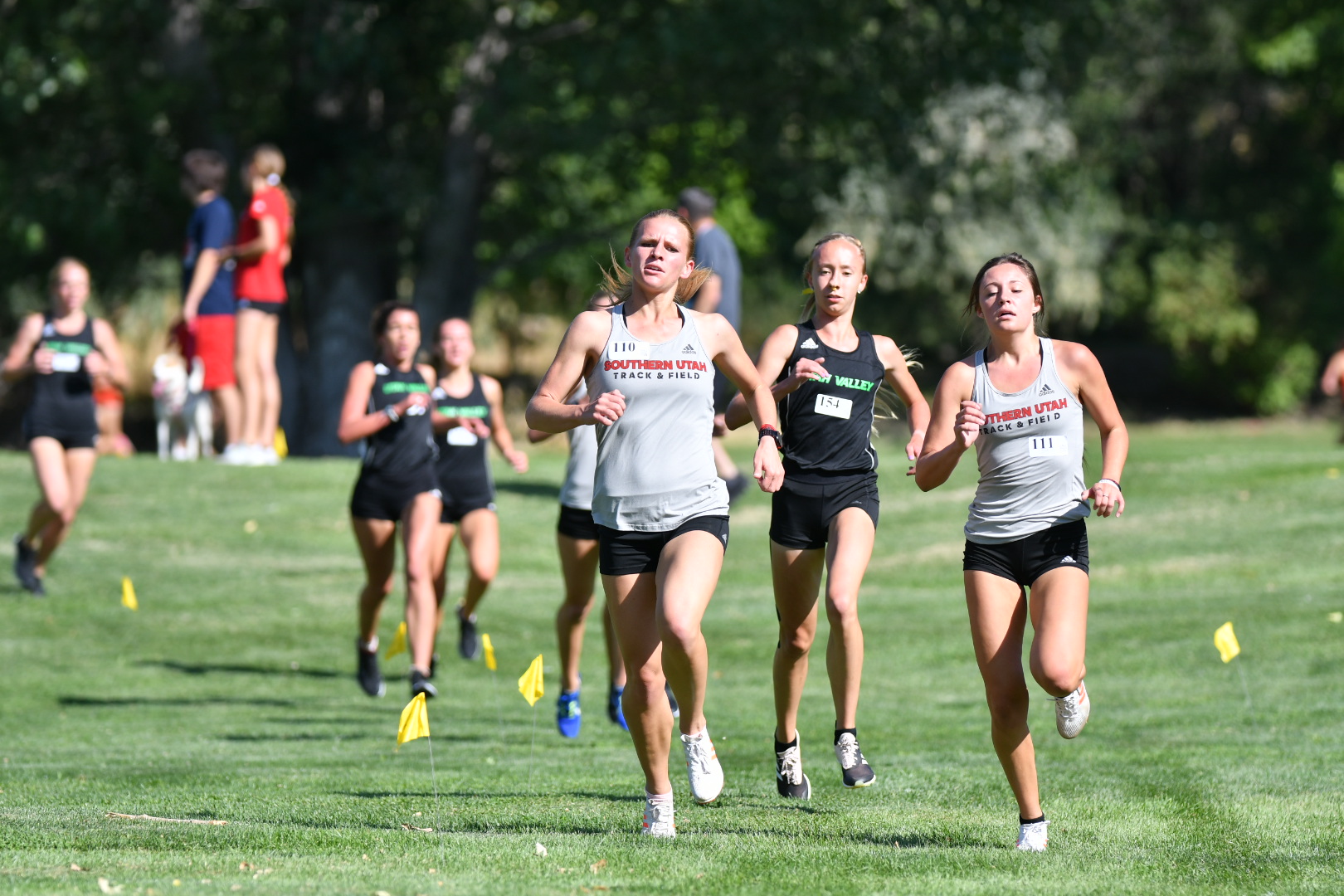 Morgan Porcaro - Women's Cross Country - Southern Utah University Athletics