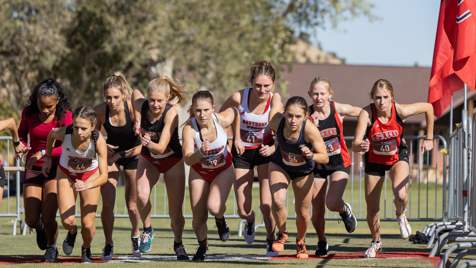 Linnea Saltz - Women's Cross Country - Southern Utah University Athletics