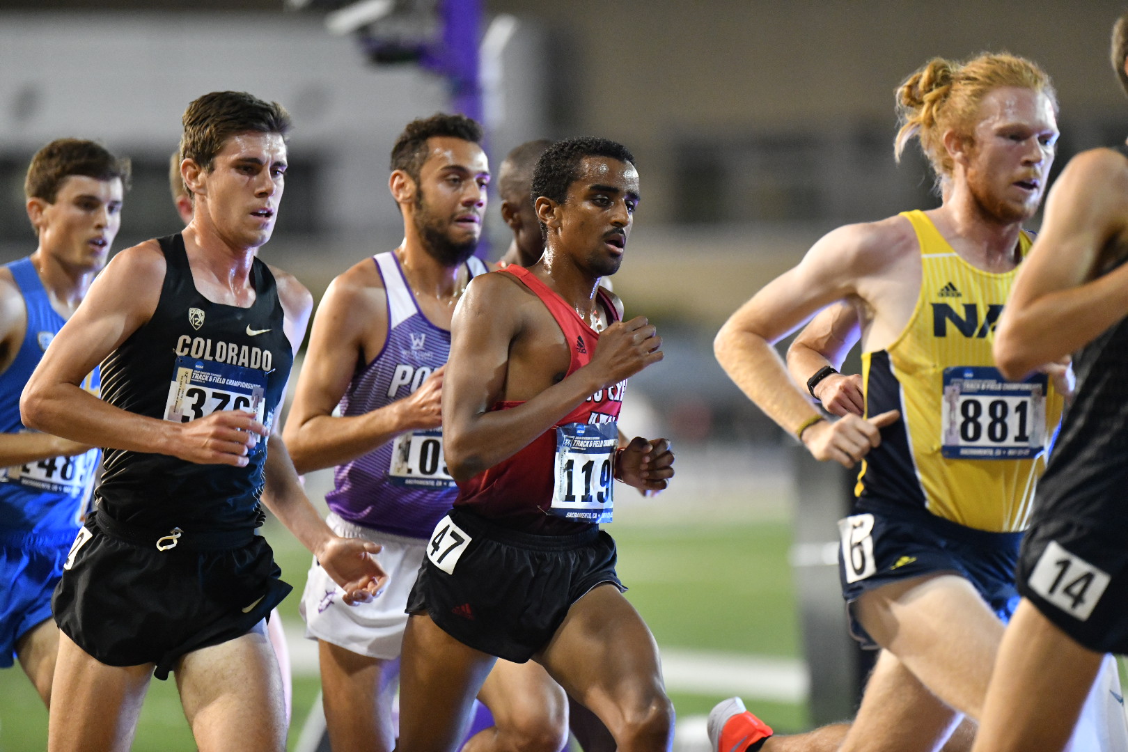 Aidan Reed - Men's Track & Field - Southern Utah University Athletics
