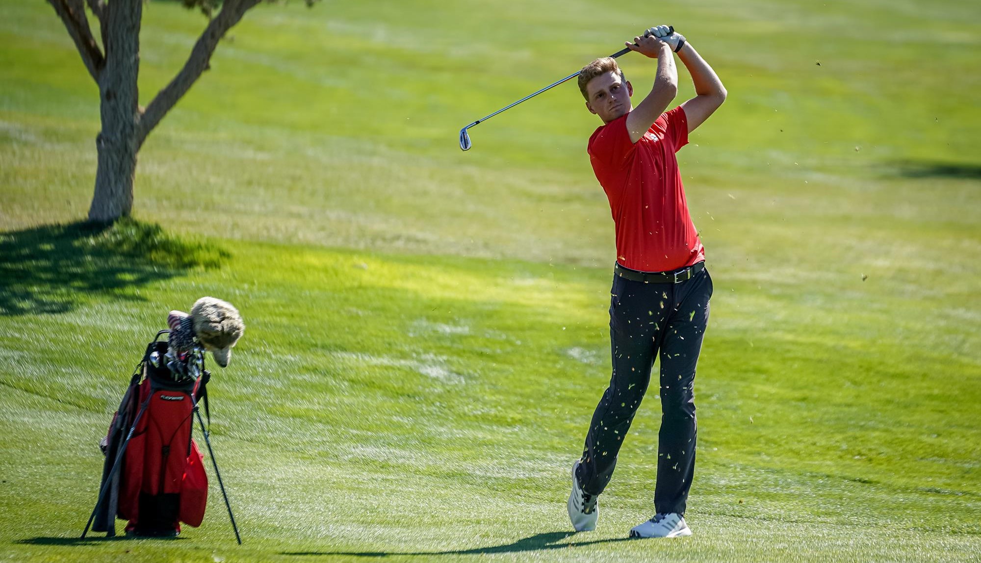 Jaden Milne - Men's Golf - Southern Utah University Athletics