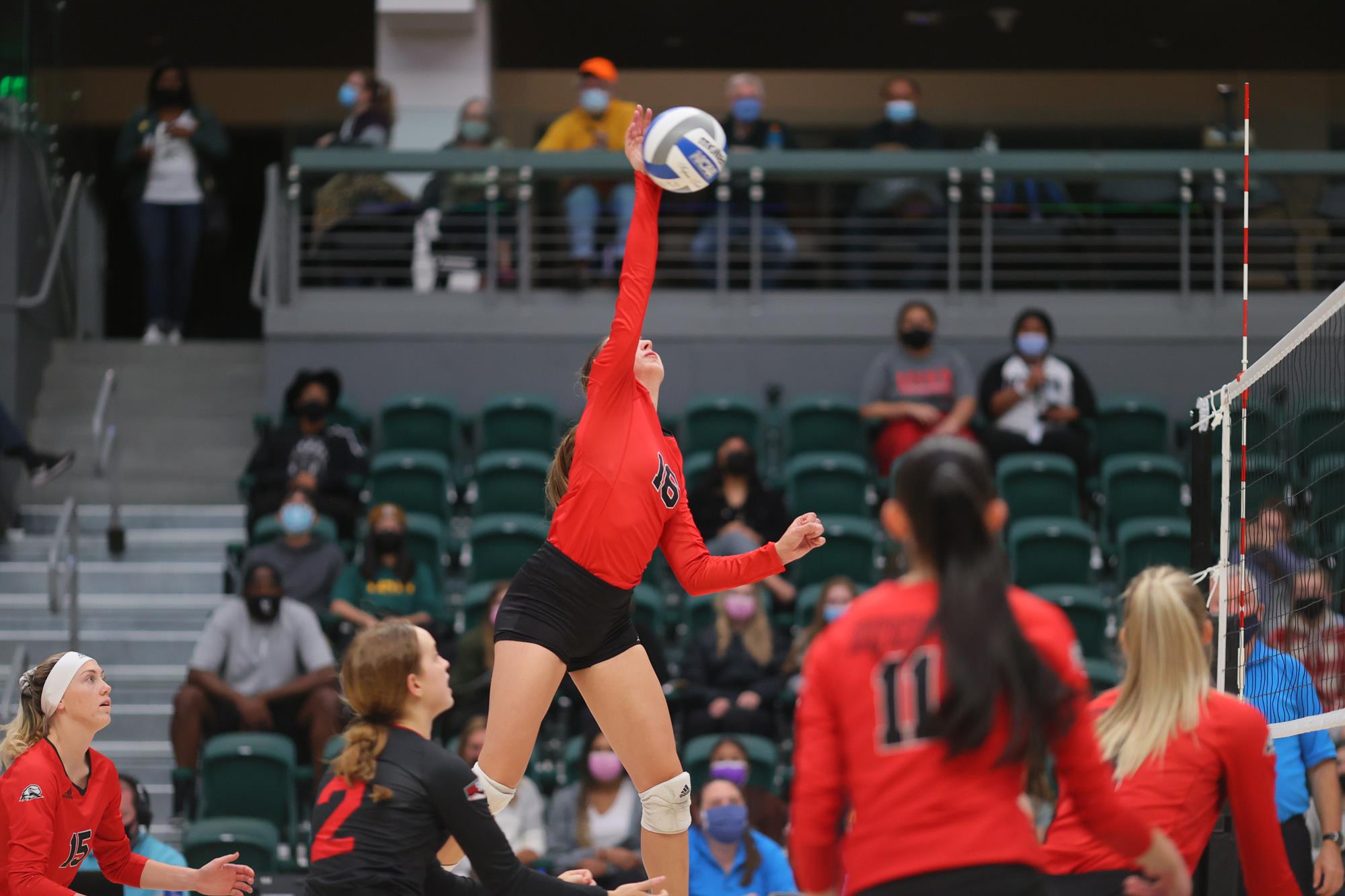 Julie Castleman - Women's Volleyball - Southern Utah University Athletics