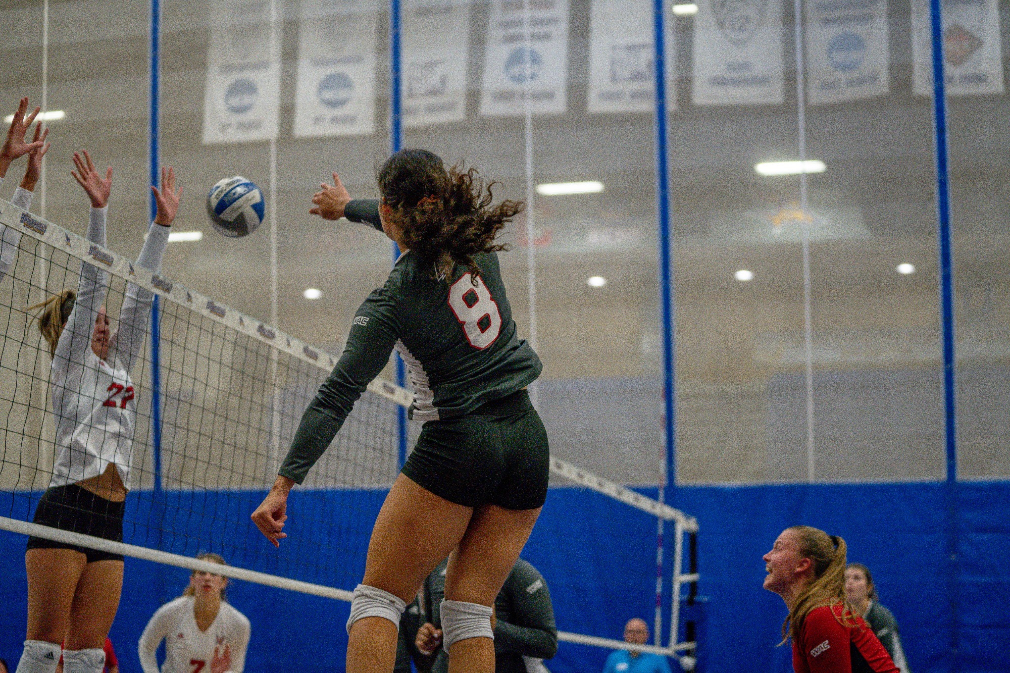 Thunderbirds Fall to Golden Bears - Southern Utah University Athletics