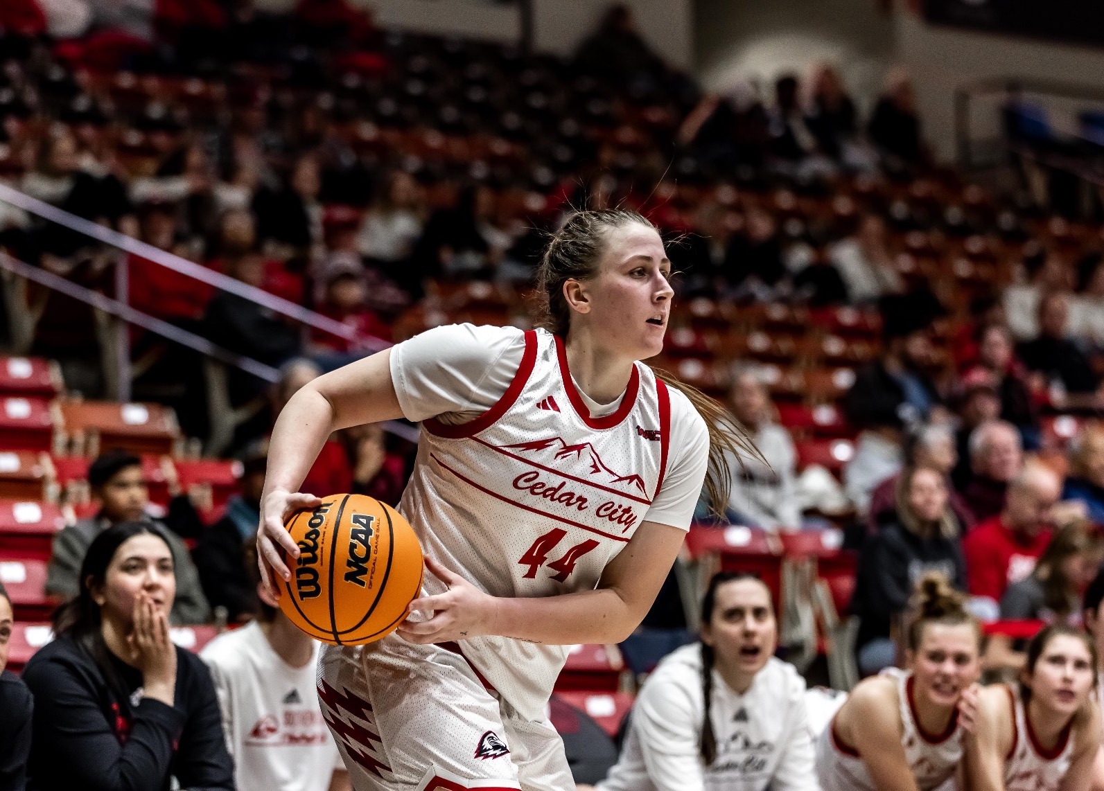 Uhrich’s Career-High Propels Thunderbirds to Victory Over Wildcats ...