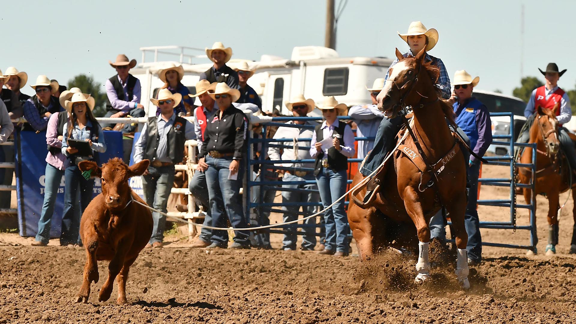 Winter Williams - Rodeo - Southwestern Oklahoma State University Athletics