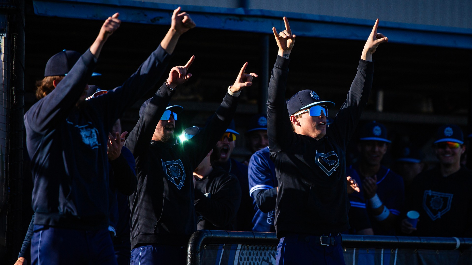 Bulldogs Walk Off Storm to Open Series - Southwestern Oklahoma State ...