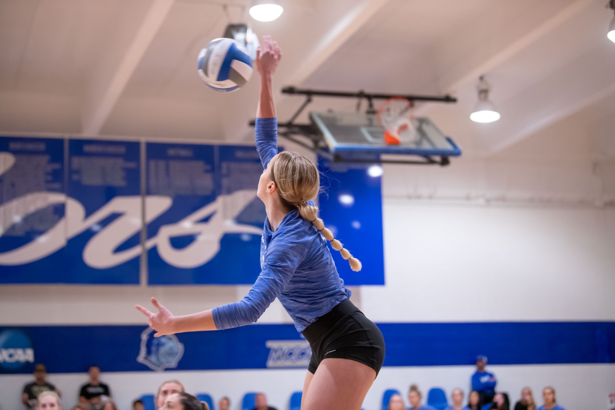 Emily Ellis - 2023 - Women's Volleyball - Southern Wesleyan University
