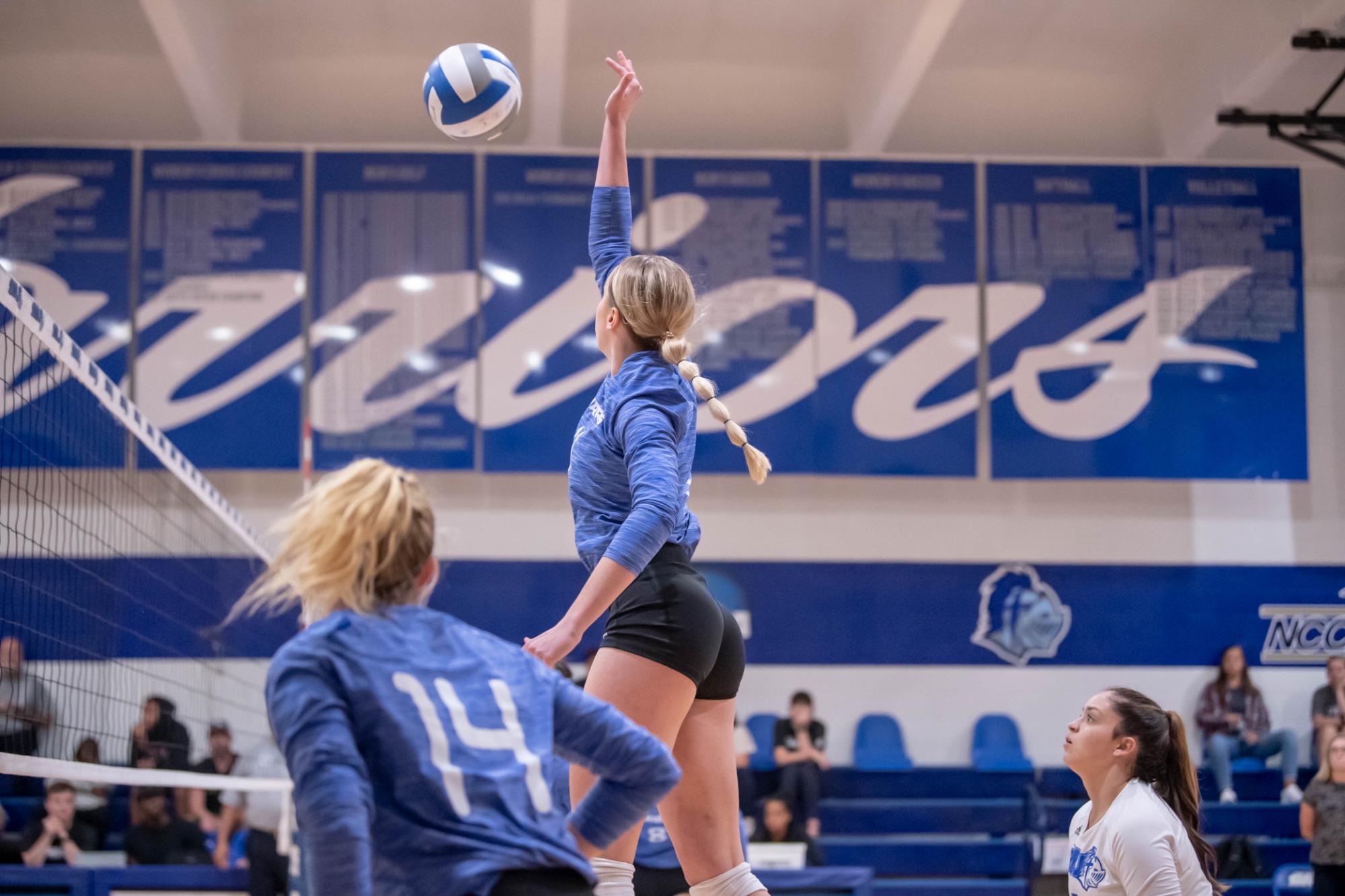 Emily Ellis - 2023 - Women's Volleyball - Southern Wesleyan University