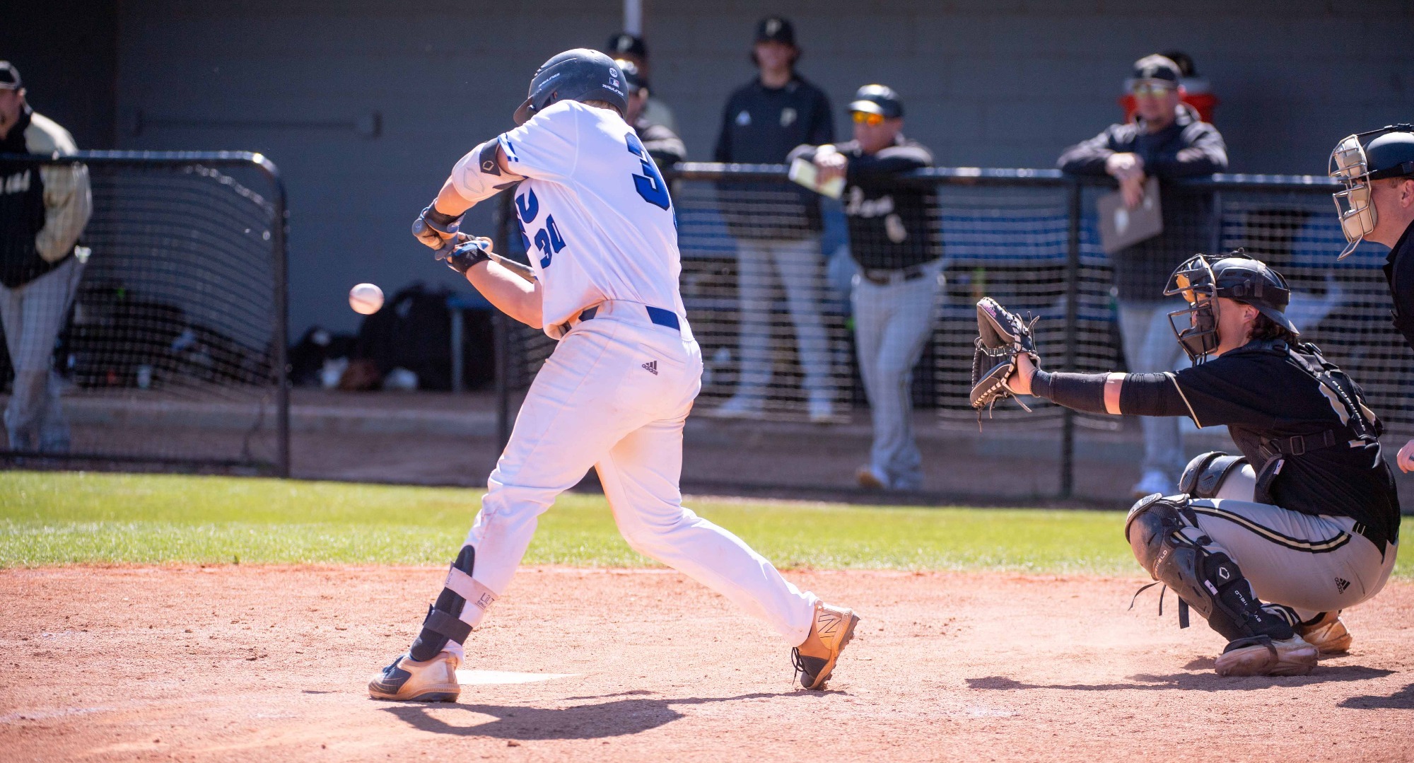 Tyler Jackson - 2024 - Baseball - Southern Wesleyan University