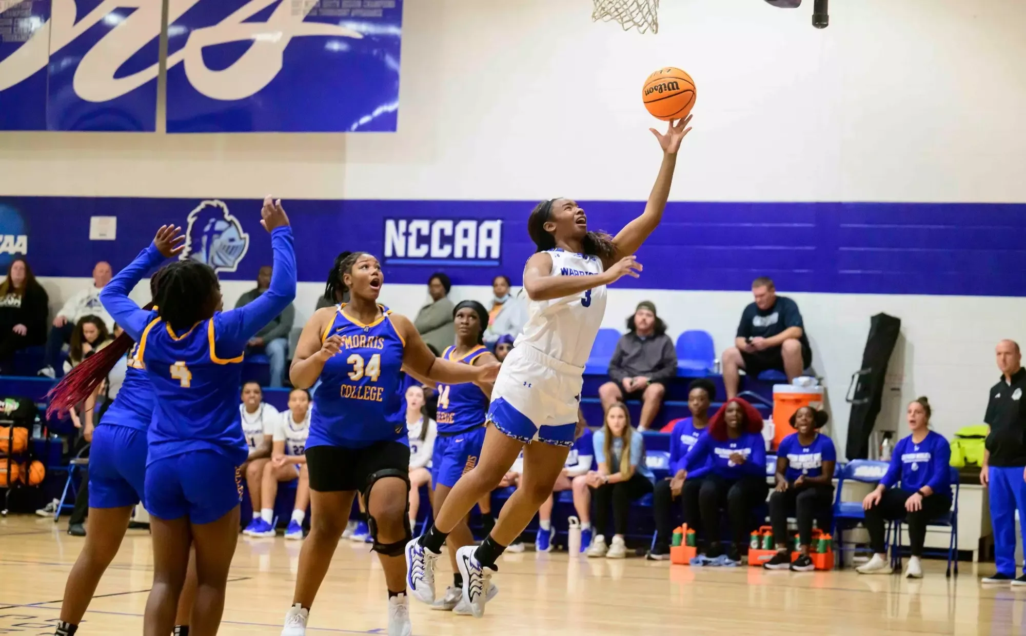 Conference Carolinas Announces 2024-25 Women's Basketball Preseason ...