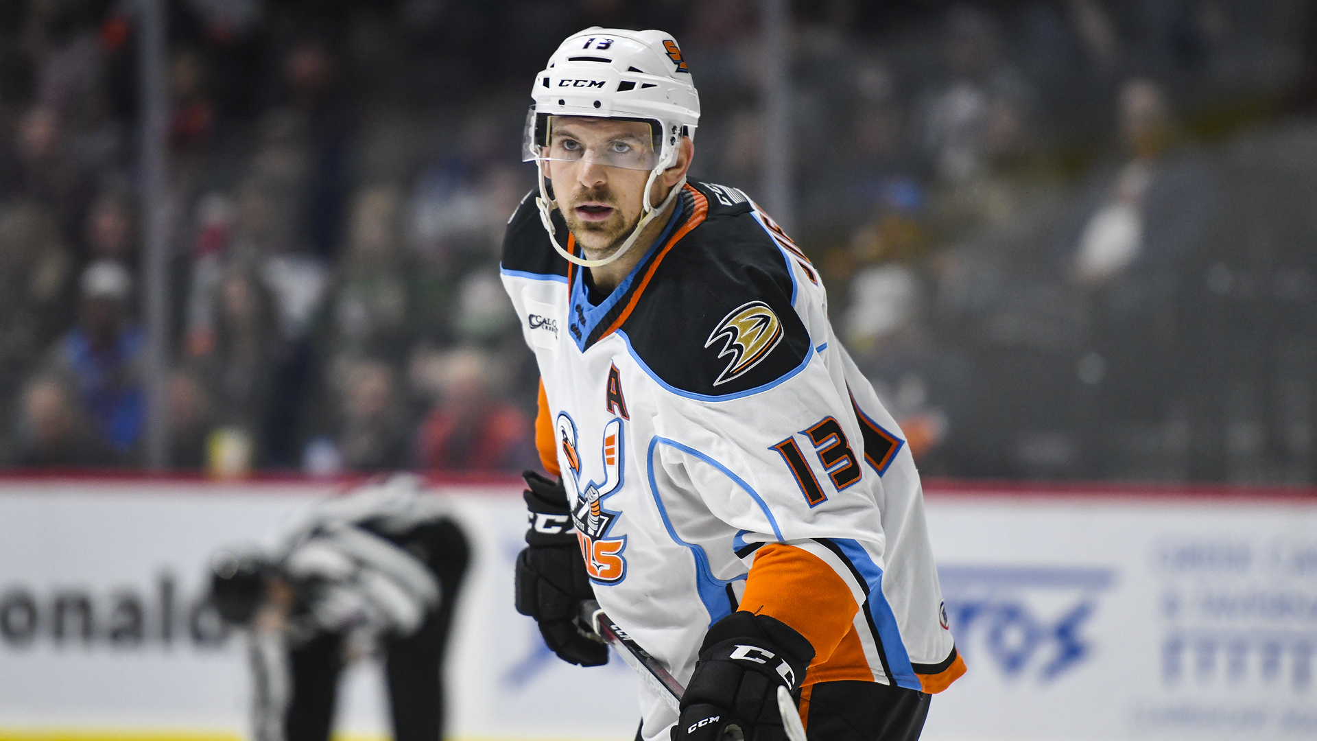 Tampa Bay Lightning Acquire Defenseman Patrick Sieloff From Anaheim ...