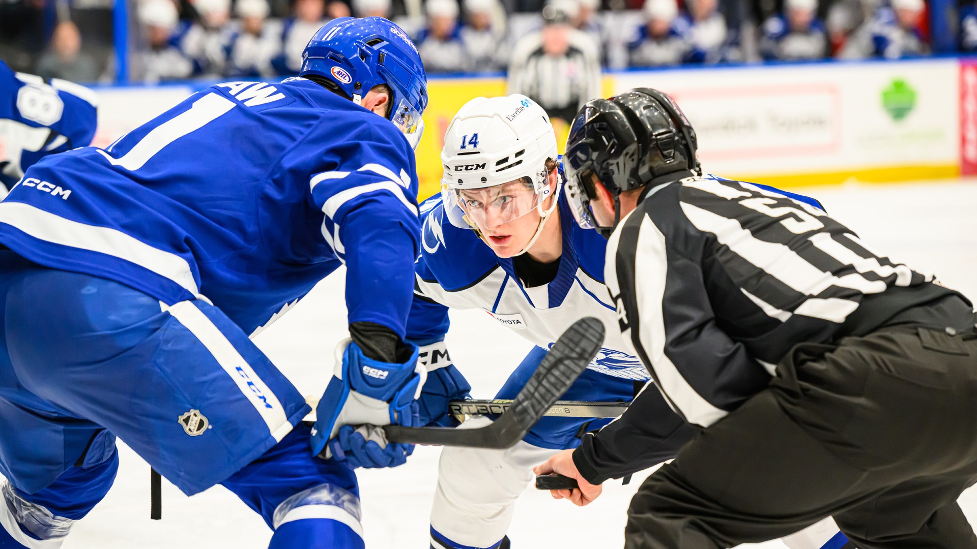 Game 32 Preview: Syracuse Crunch at Toronto Marlies - Syracuse Crunch