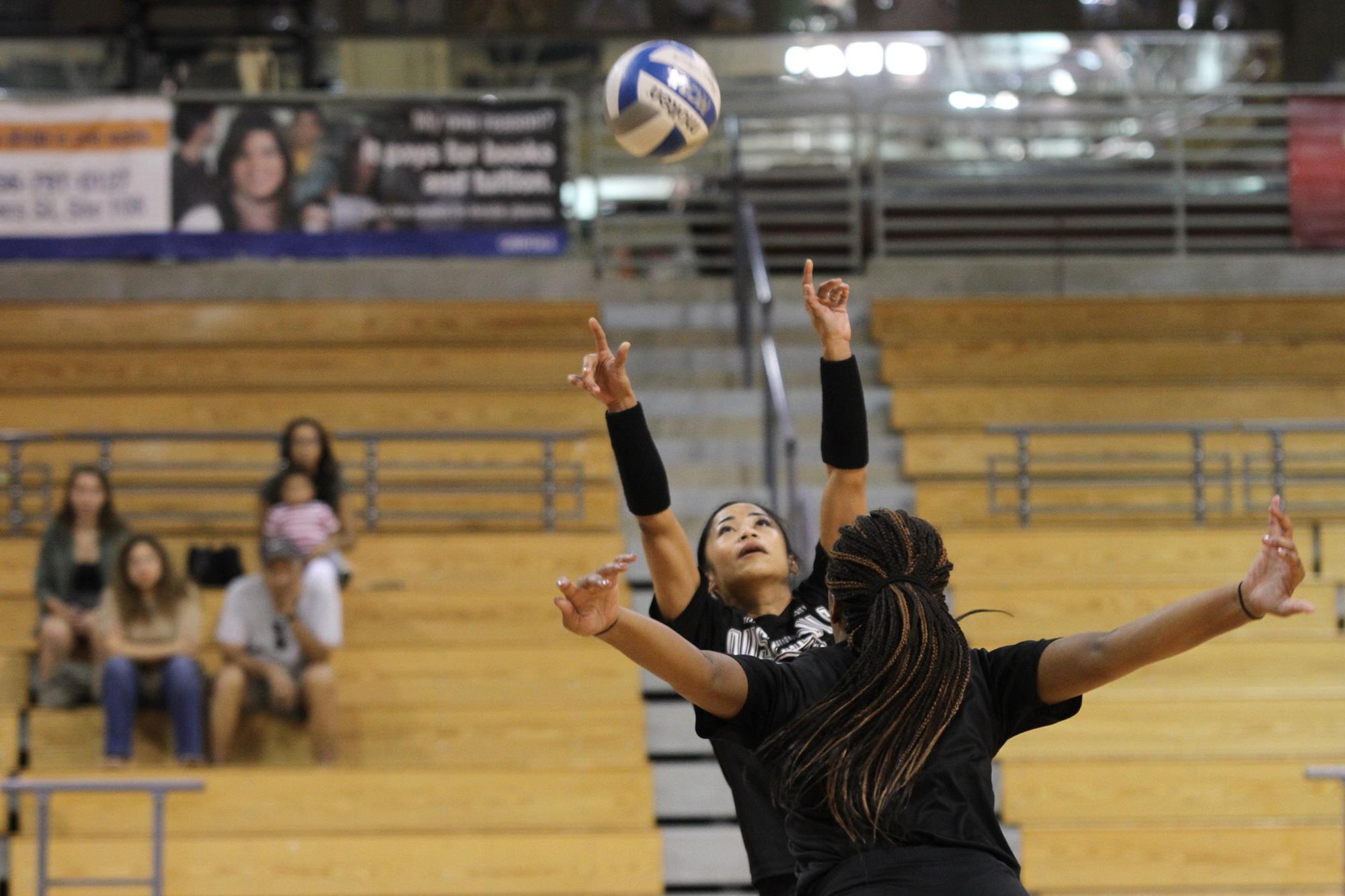 Alexis Villa - Women's Volleyball - Texas A&M International University ...