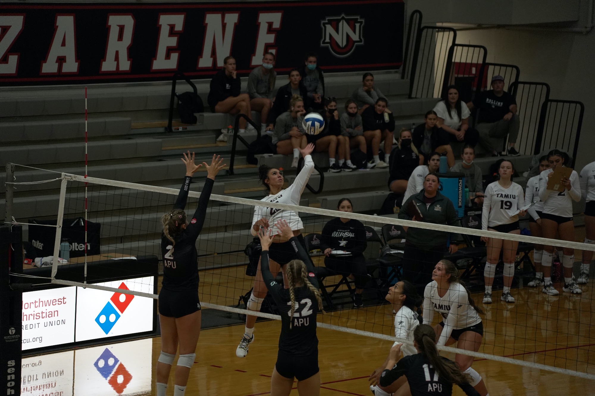 TAMIU Falls To Pioneers To Open LSC Crossover Tournament - Texas A&M ...