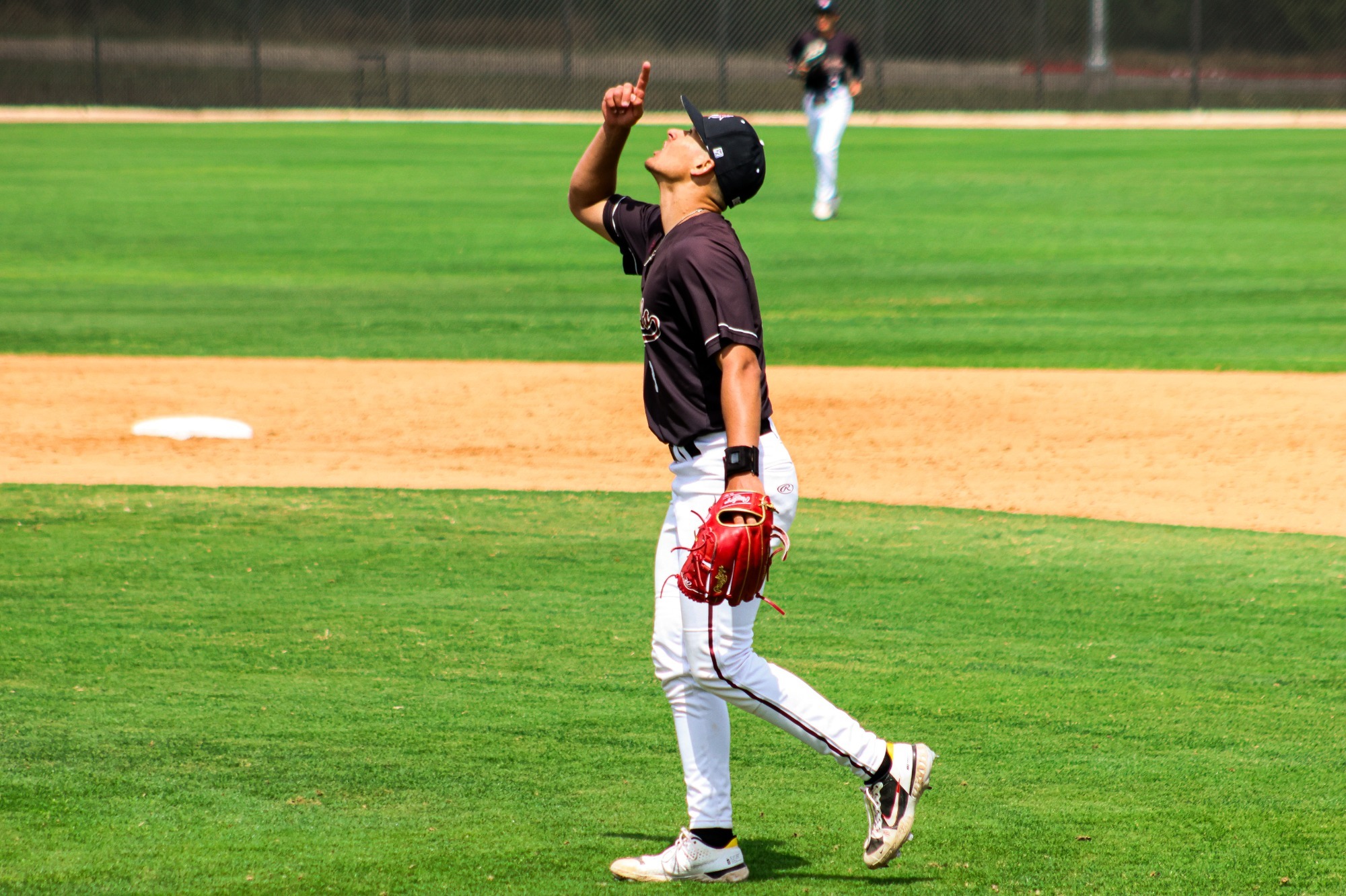Dustdevils Sweep Lions in Doubleheader - Texas A&M International ...