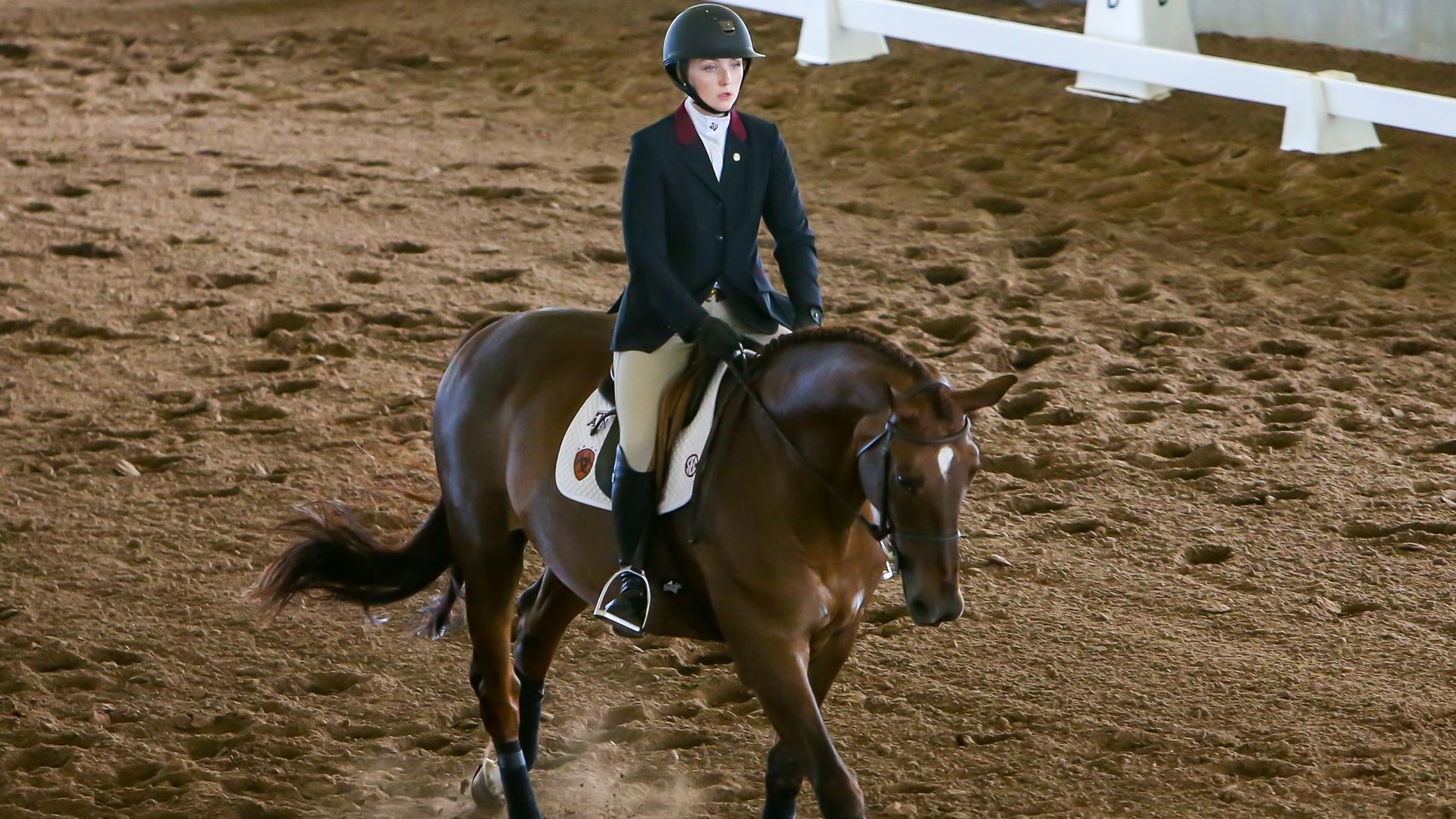Caroline Boyle - Equestrian - Texas A&M Athletics - 12thMan.com