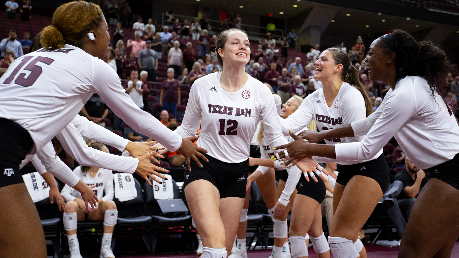 Mallory Talbert - Volleyball - Texas A&M Athletics - 12thMan.com
