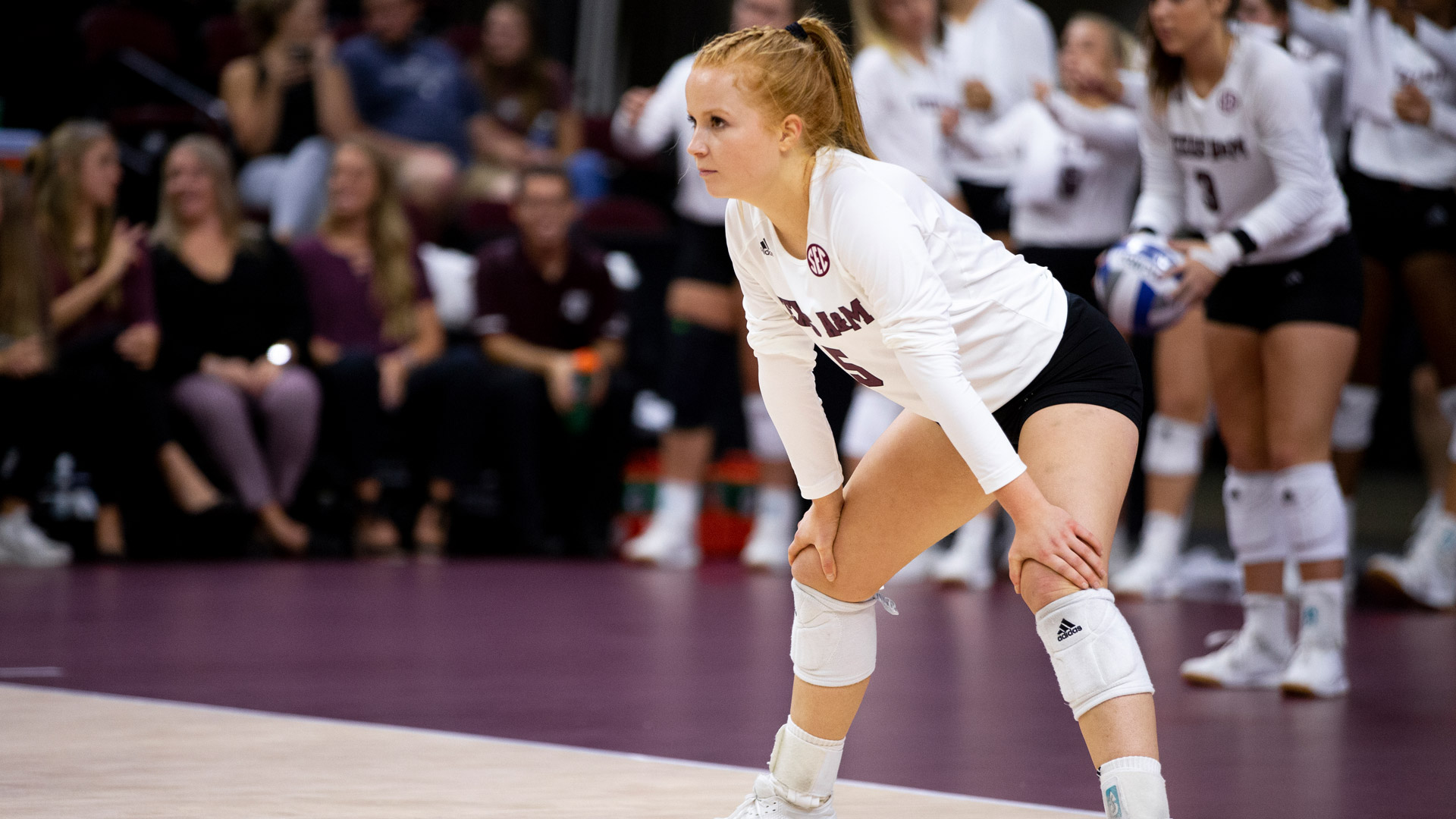 Taylor Voss - Volleyball - Texas A&M Athletics - 12thMan.com