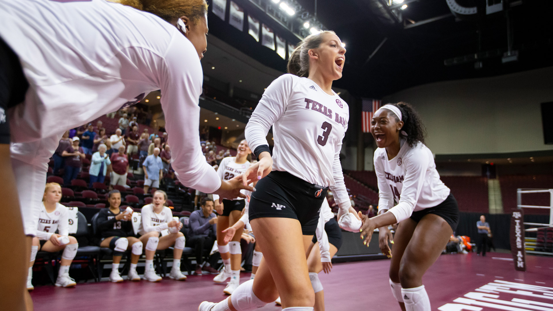 Karly Basham - Volleyball - Texas A&M Athletics - 12thMan.com