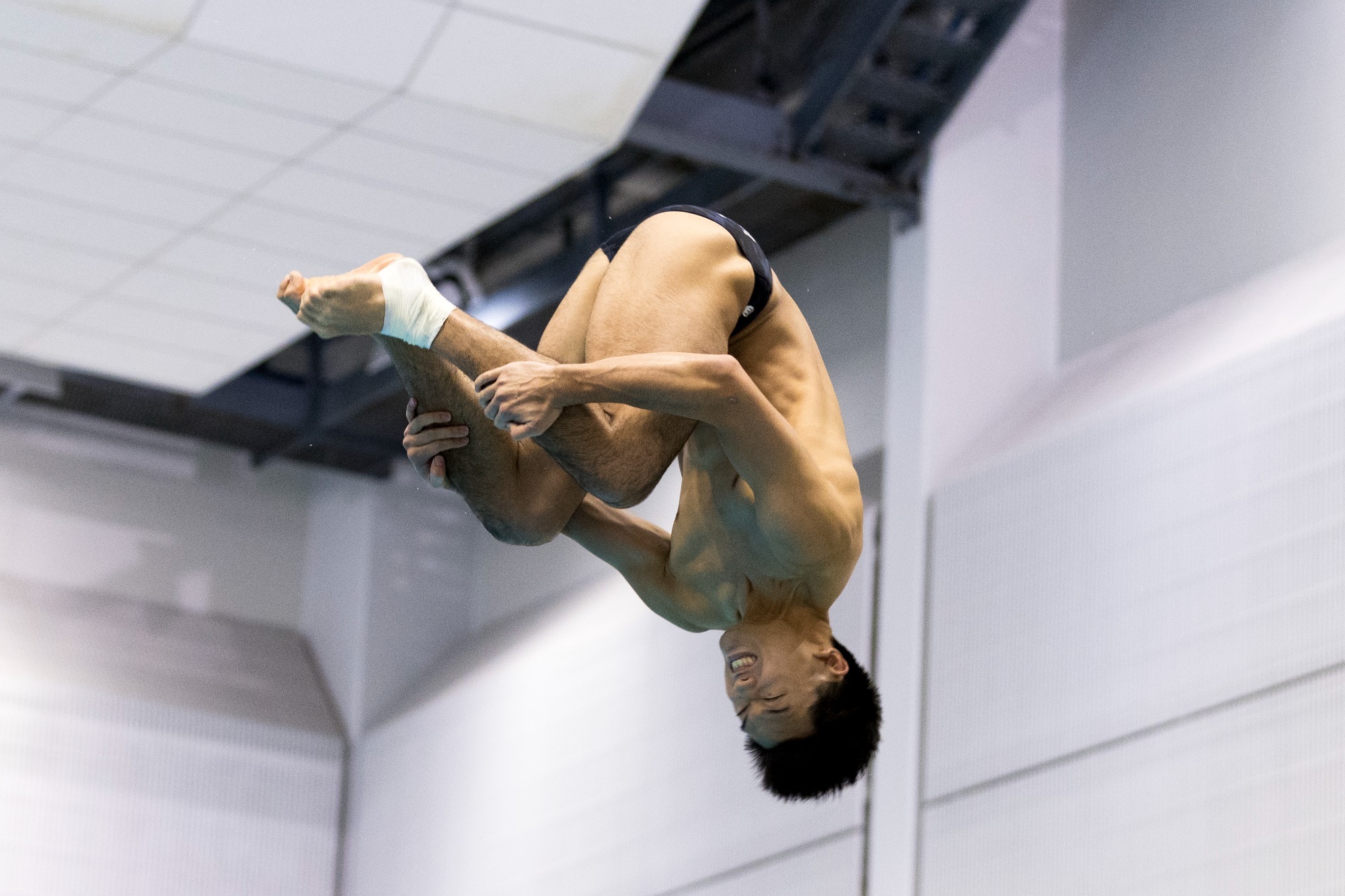 Takuto Endo - Men's Swimming and Diving - Texas A&M Athletics - 12thMan.com