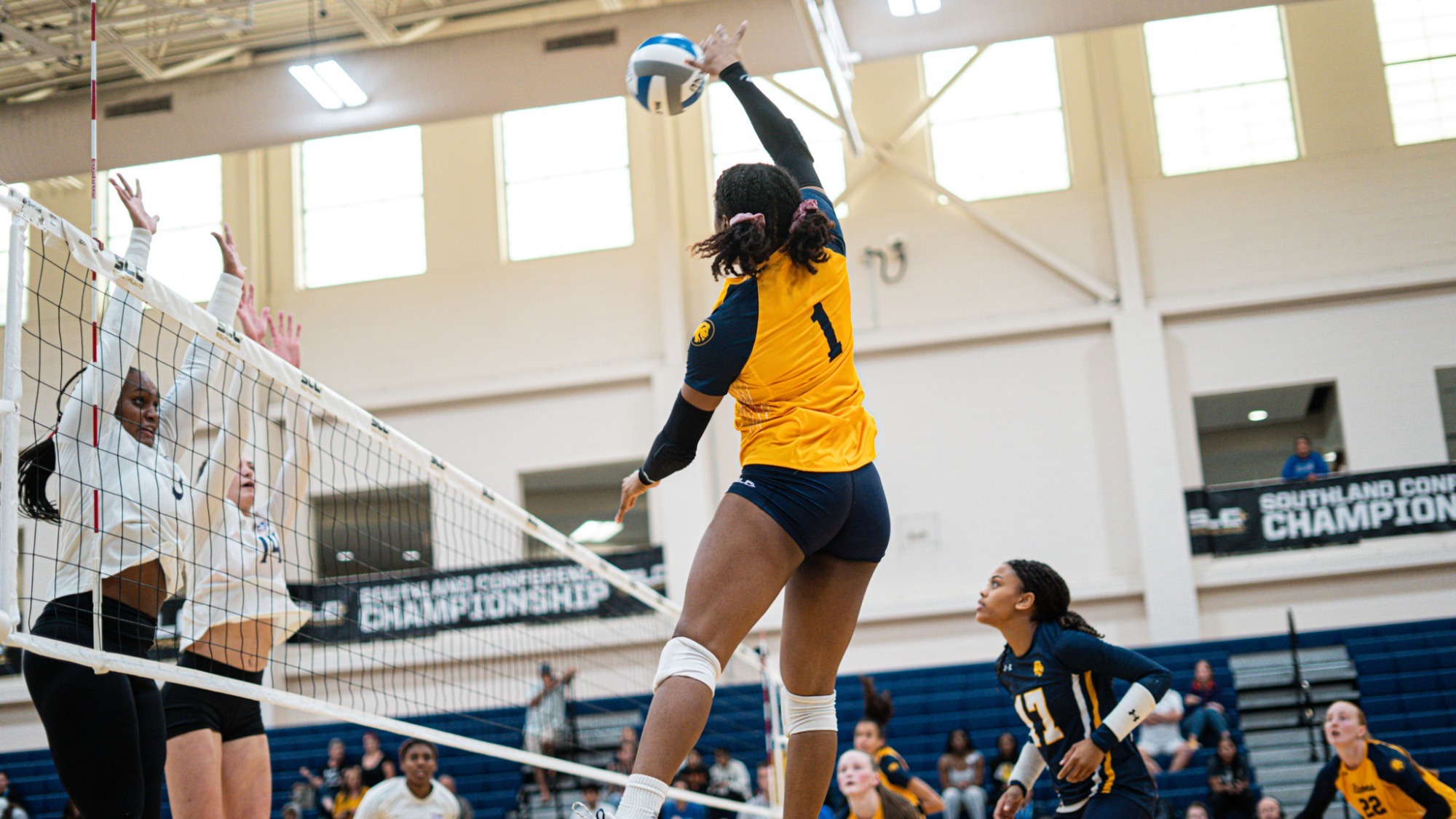 Essence Allen - Volleyball - Texas A&M University-Commerce Athletics