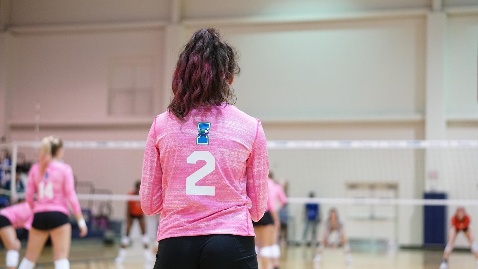 Angel Felan - Volleyball - Texas A&M-Corpus Christi Athletics