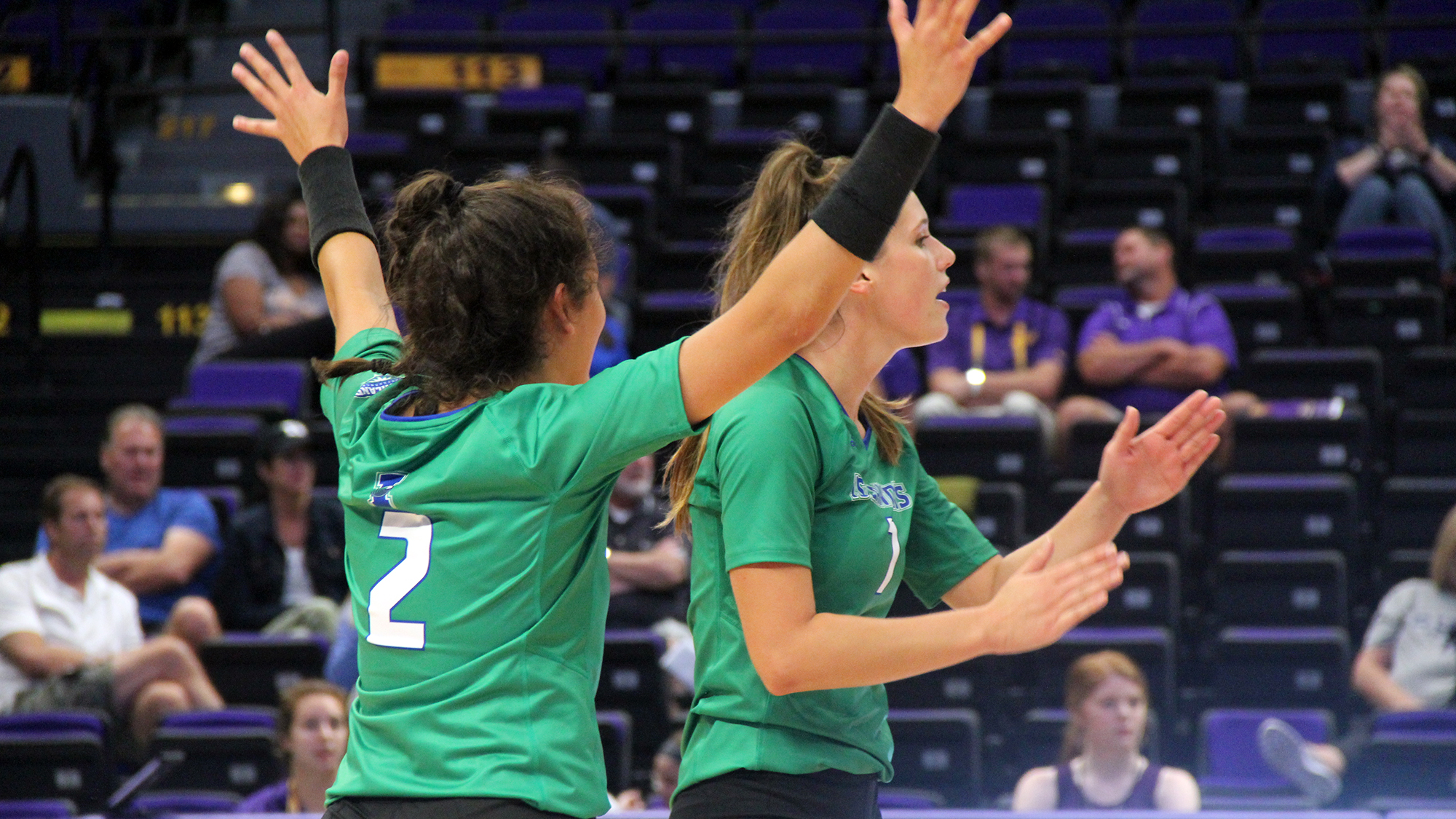 Angel Felan - Volleyball - Texas A&M-Corpus Christi Athletics