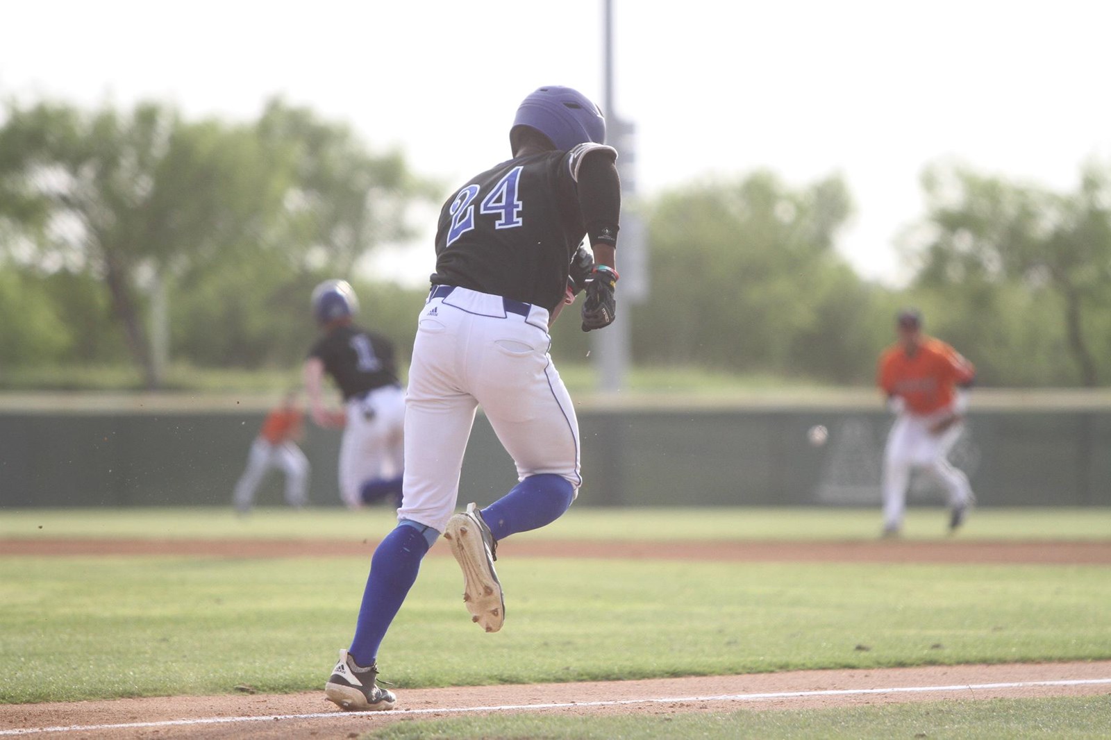 Mike Williams - Baseball - Texas A&M-Corpus Christi Athletics