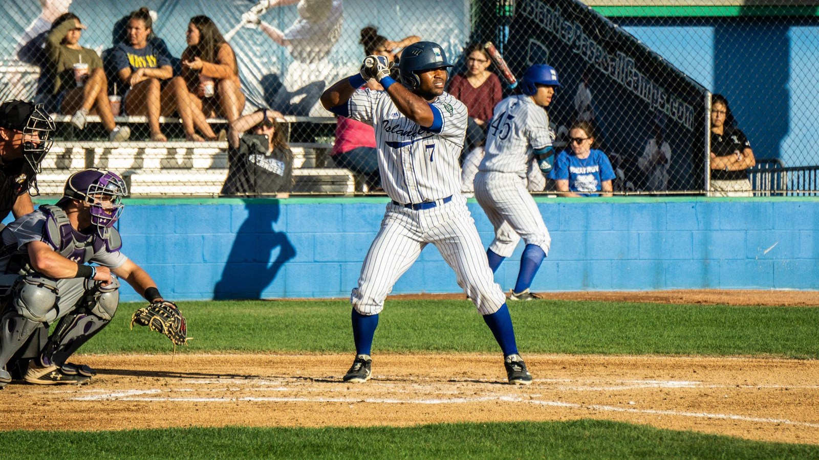 Nick Anderson - Baseball - Texas A&M-Corpus Christi Athletics
