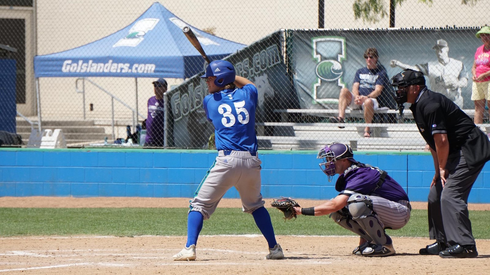 Justin Taylor - Baseball - Texas A&M-Corpus Christi Athletics