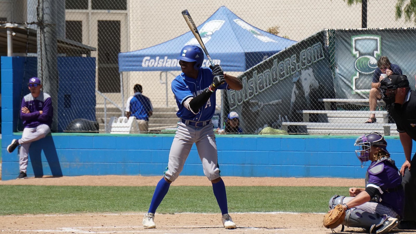 Mike Williams - Baseball - Texas A&M-Corpus Christi Athletics