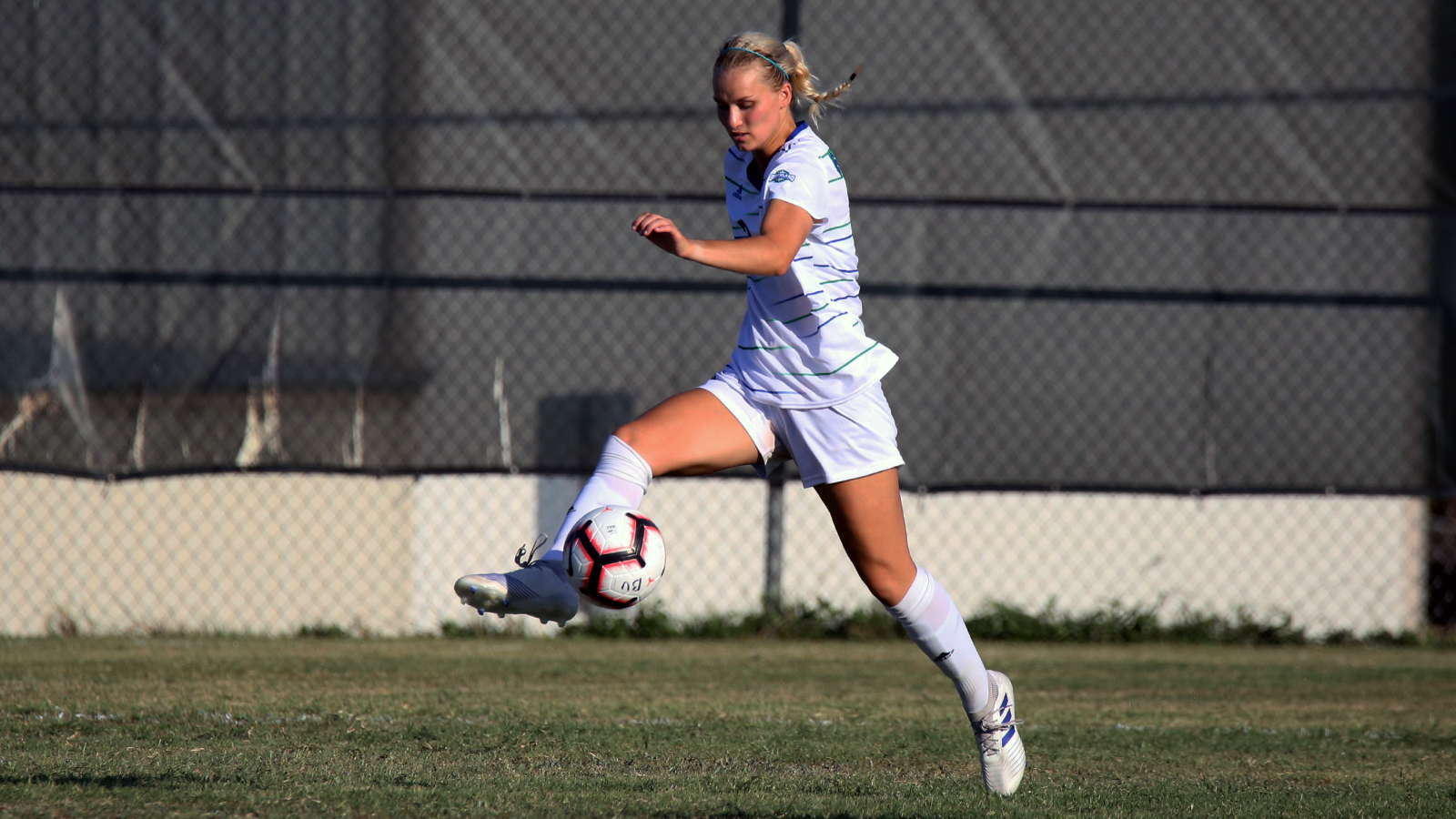 Jaedyn Johnson - Soccer - Texas A&M-Corpus Christi Athletics