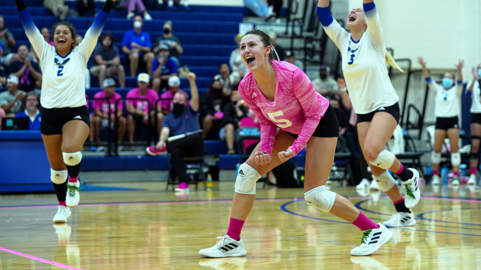 Carissa Barnes - Volleyball - Texas A&M-Corpus Christi Athletics