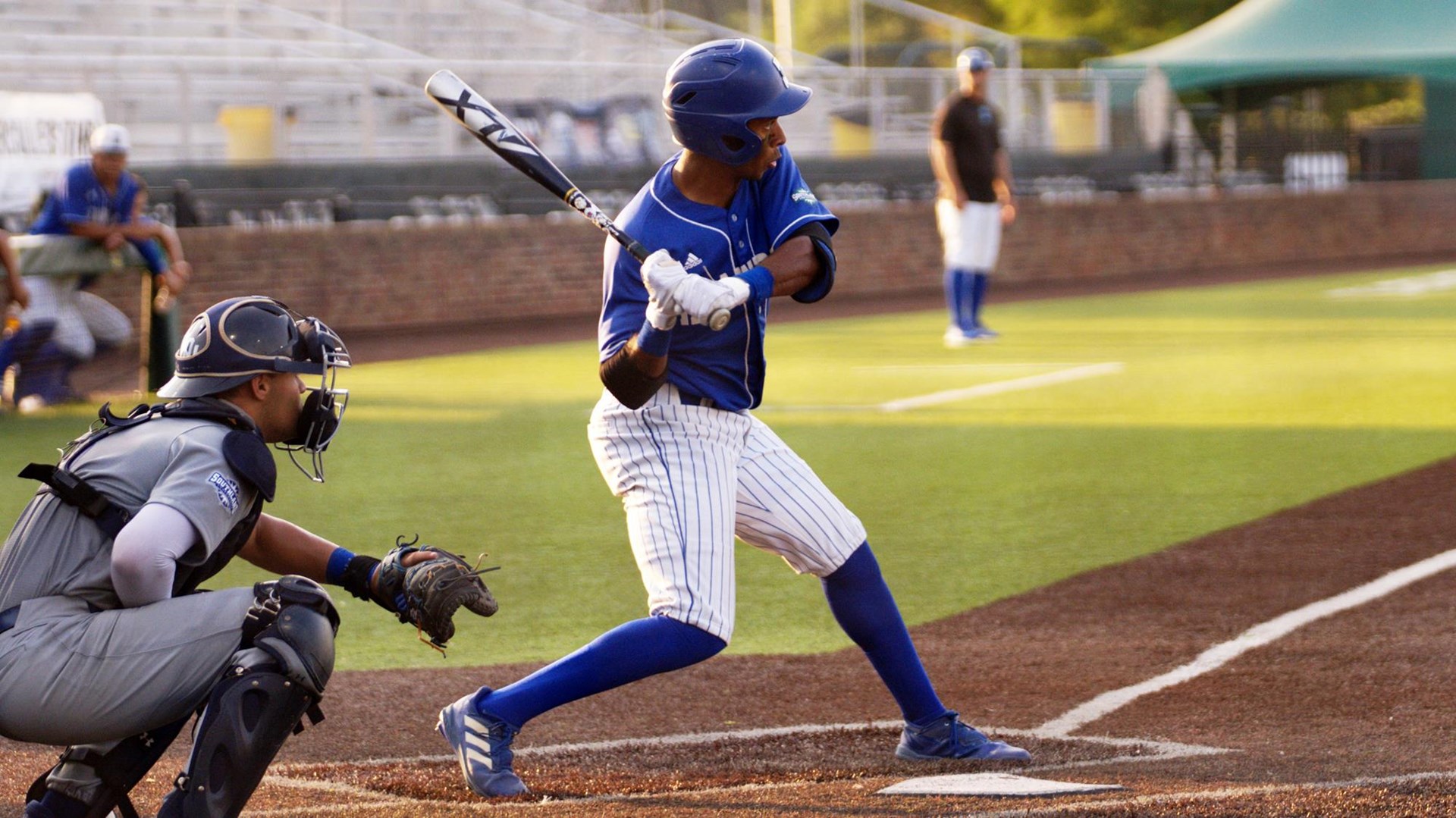 Diego Johnson - Baseball - Texas A&M-Corpus Christi Athletics